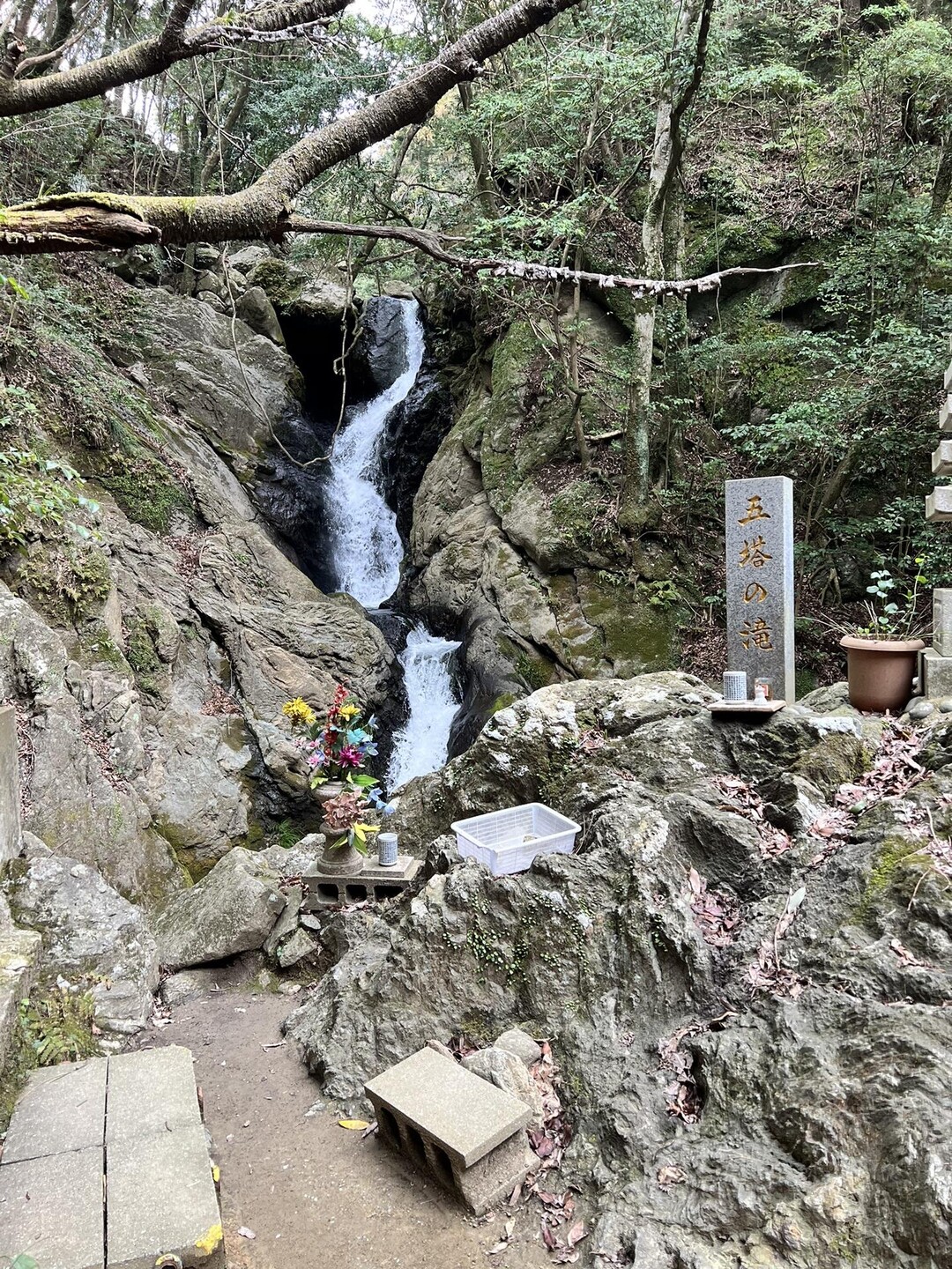篠栗四国八十八箇所 2周目① / mimさんの篠栗四国八十八箇所の活動データ | YAMAP / ヤマップ