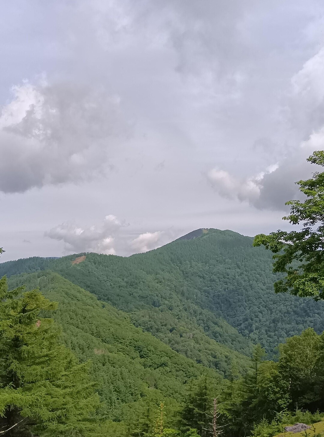 雲取山 / nori 04さんの雲取山・鷹ノ巣山・七ツ石山の活動データ | YAMAP / ヤマップ