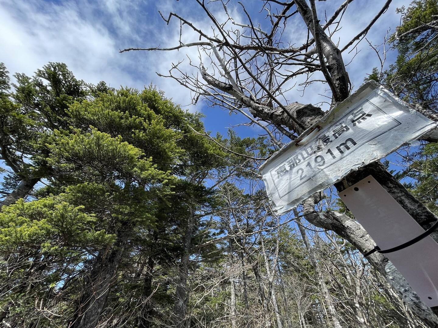 好天探して恵那山へ / natsuさんの恵那山・大判山・神坂山の活動データ | YAMAP / ヤマップ
