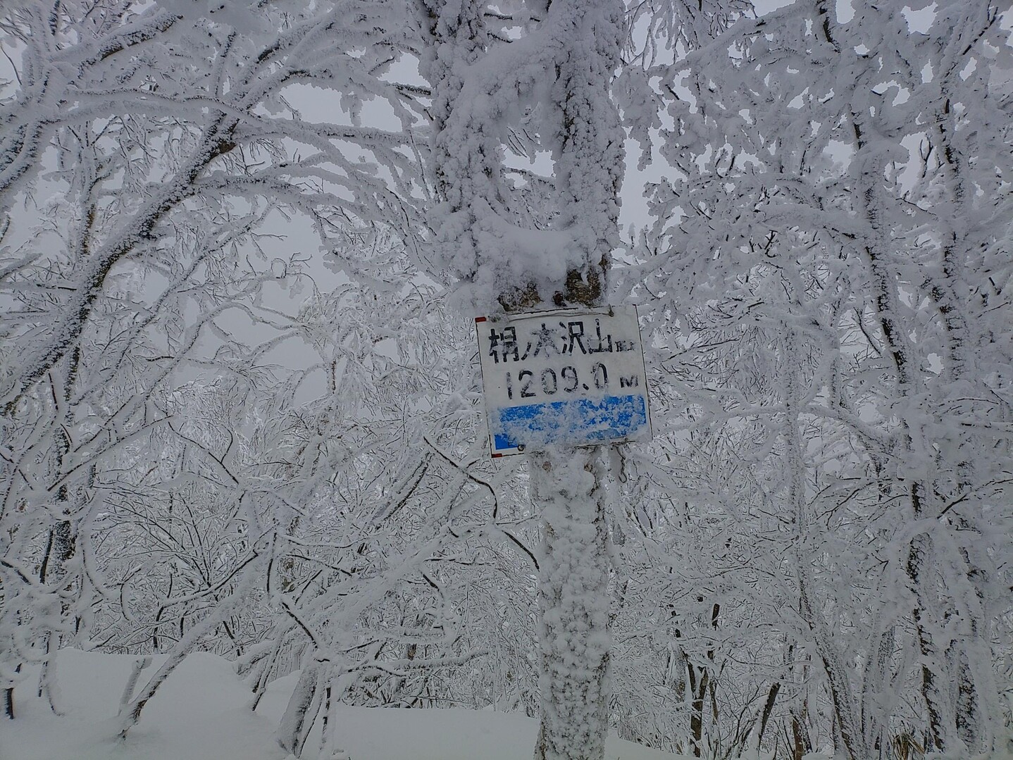 2024_01_28_桐ノ木沢山（BCスキー） / bakkyさんの兜明神嶽（兜明神岳）・岩神山の活動データ | YAMAP / ヤマップ