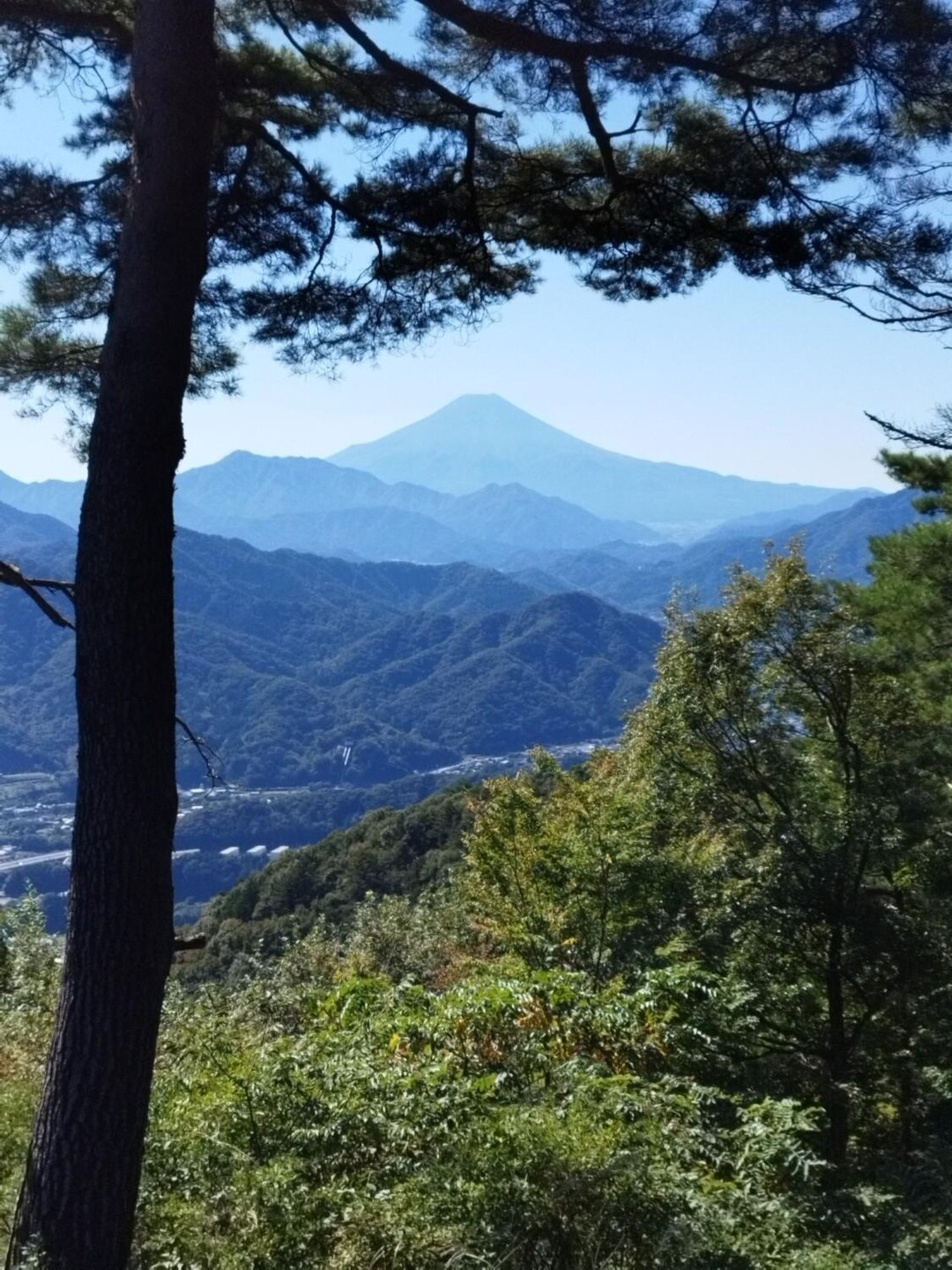 百蔵山 / horitakaさんの百蔵山・扇山・権現山の活動データ | YAMAP / ヤマップ