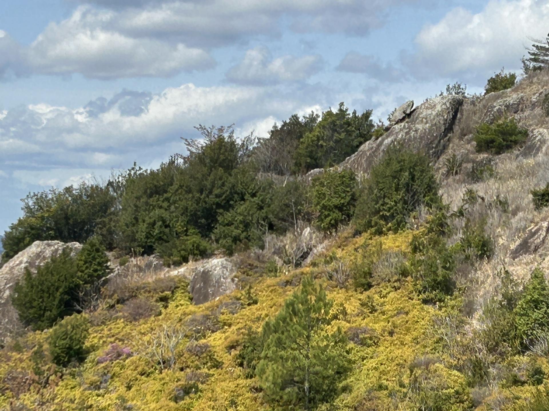 御旅山・甲山 / N.Kasuyaさんの小富士山・御旅山・高坪山の活動データ | YAMAP / ヤマップ