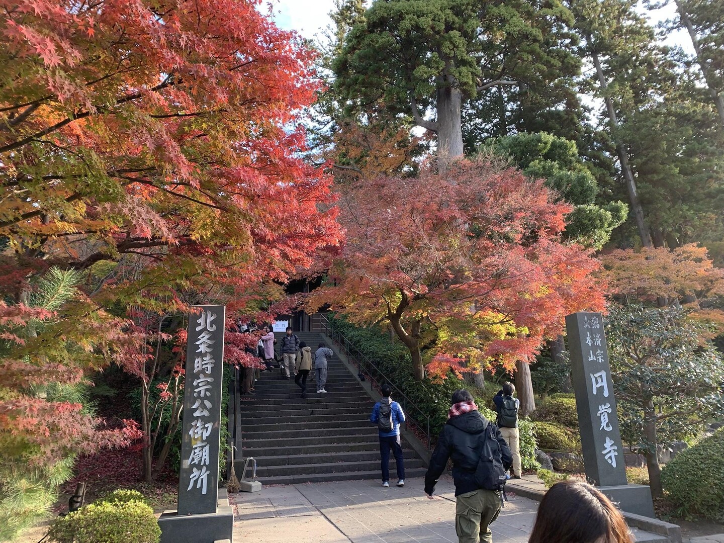 鎌倉アルプス / uさんの鎌倉アルプス（大平山・天台山）の活動データ | YAMAP / ヤマップ