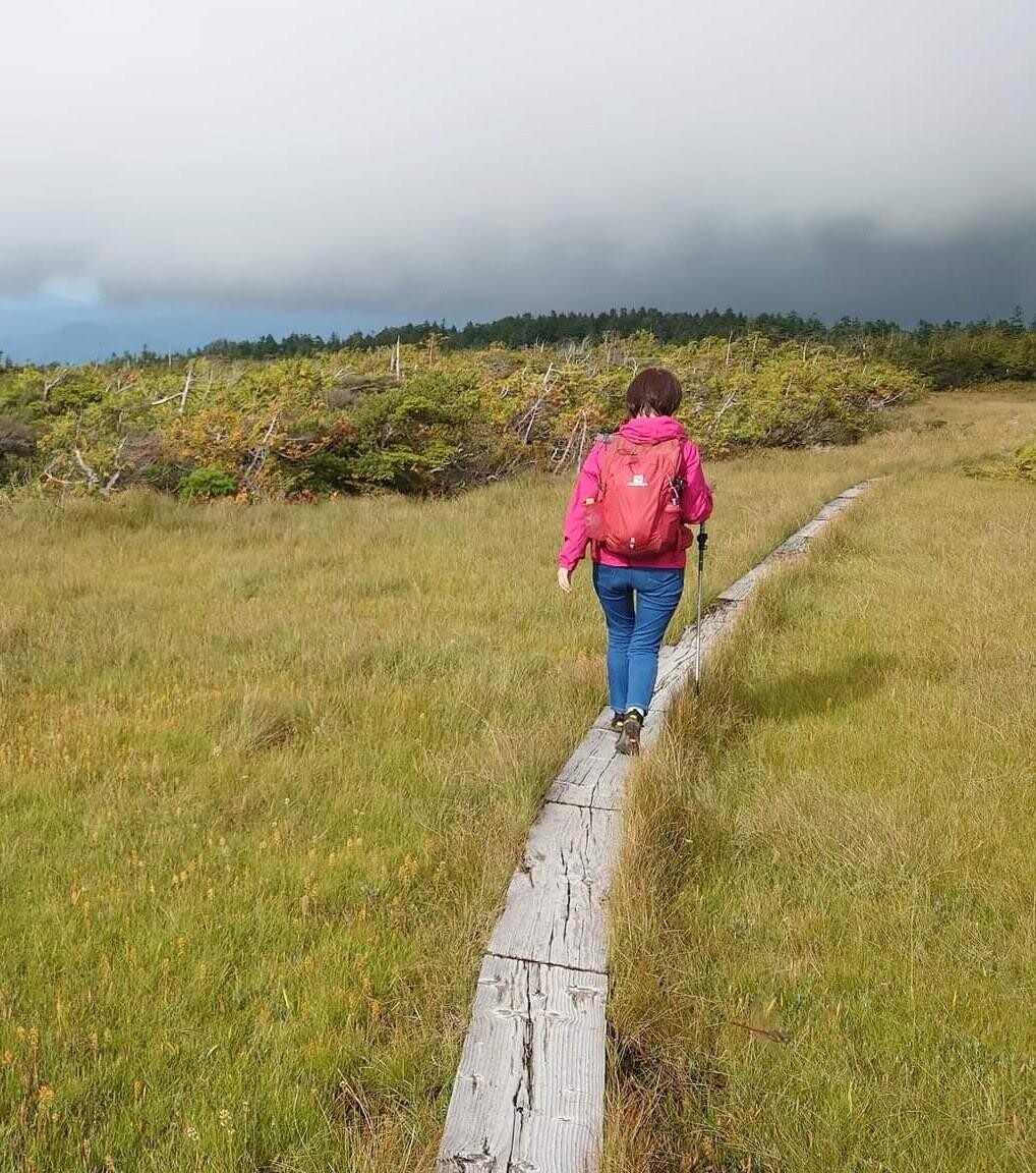 トリさん💚Keikoのページ | YAMAP / ヤマップ