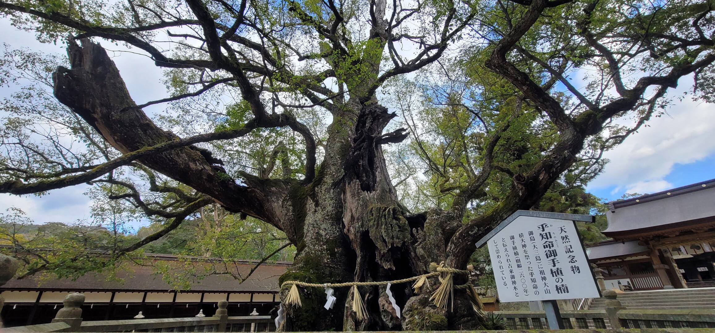 安神山・鷲ヶ頭山 / joさんの鷲ヶ頭山の活動データ | YAMAP / ヤマップ