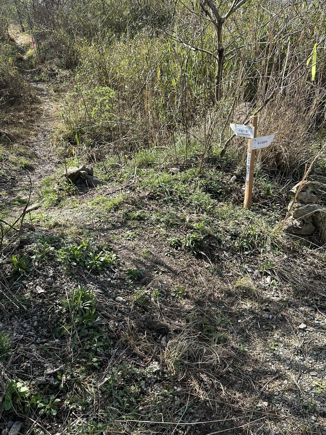 gs-h_satohさんの投稿したフィールドメモ | YAMAP / ヤマップ