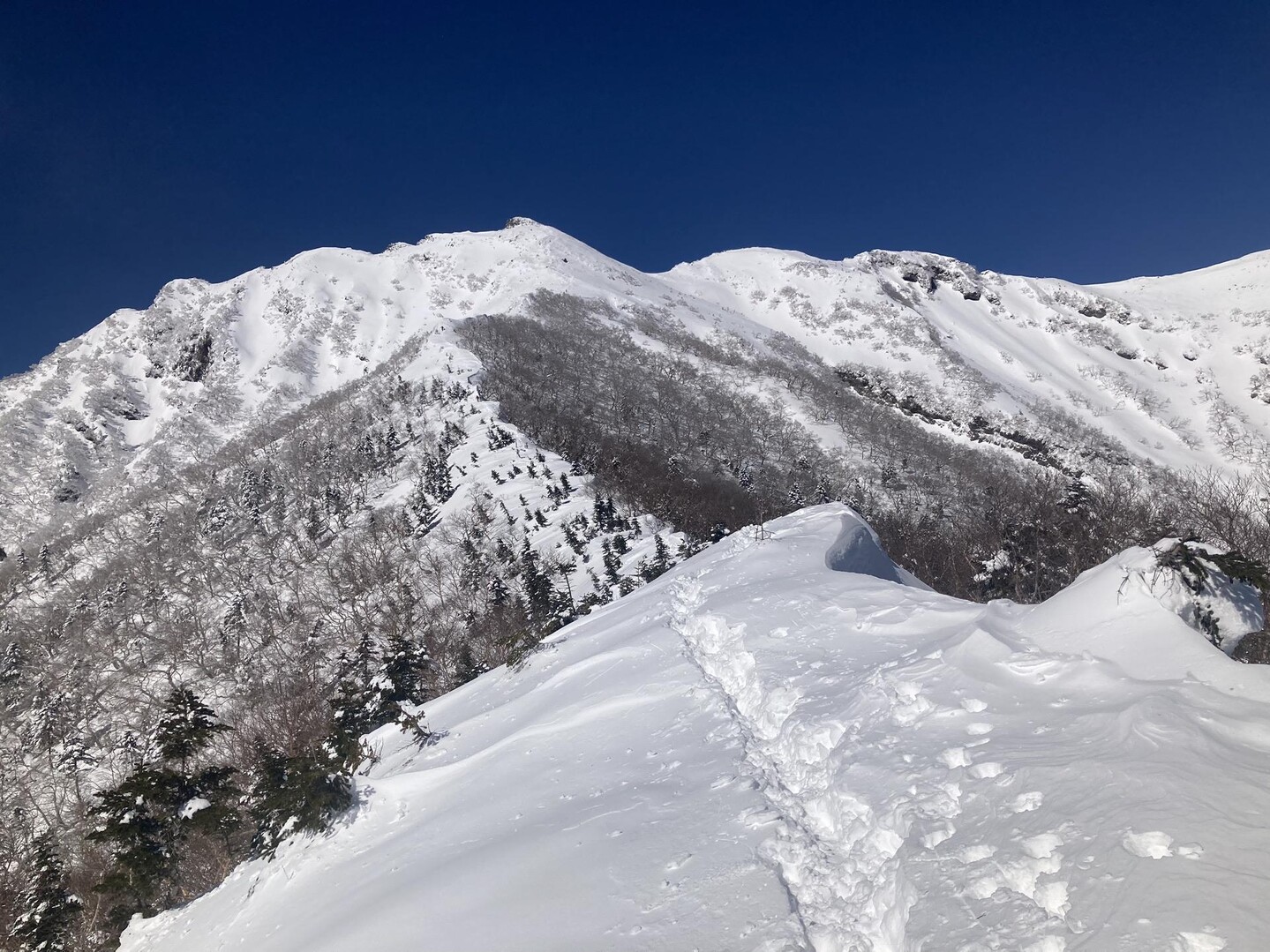 横岳（三叉峰）・横岳（無名峰）・横岳（奥ノ院） / ミーさんの八ヶ岳（赤岳・硫黄岳・天狗岳）の活動データ | YAMAP / ヤマップ