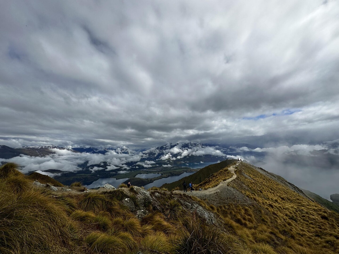 Roys Peak -NZ🇳🇿 / HCさんのロイス・ピークの活動データ | YAMAP / ヤマップ