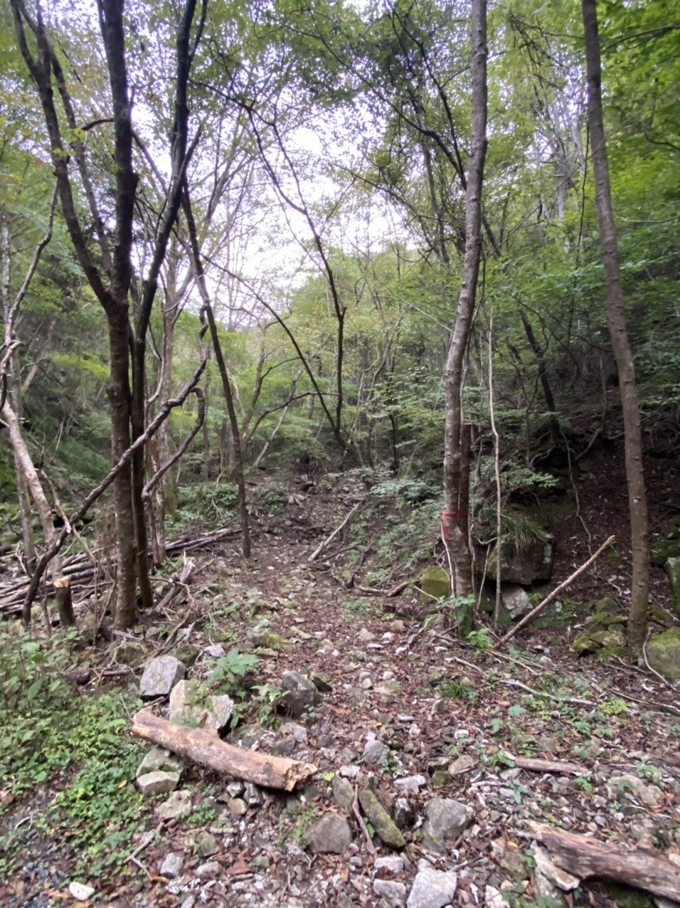 mitogoroさんの投稿したフィールドメモ | YAMAP / ヤマップ