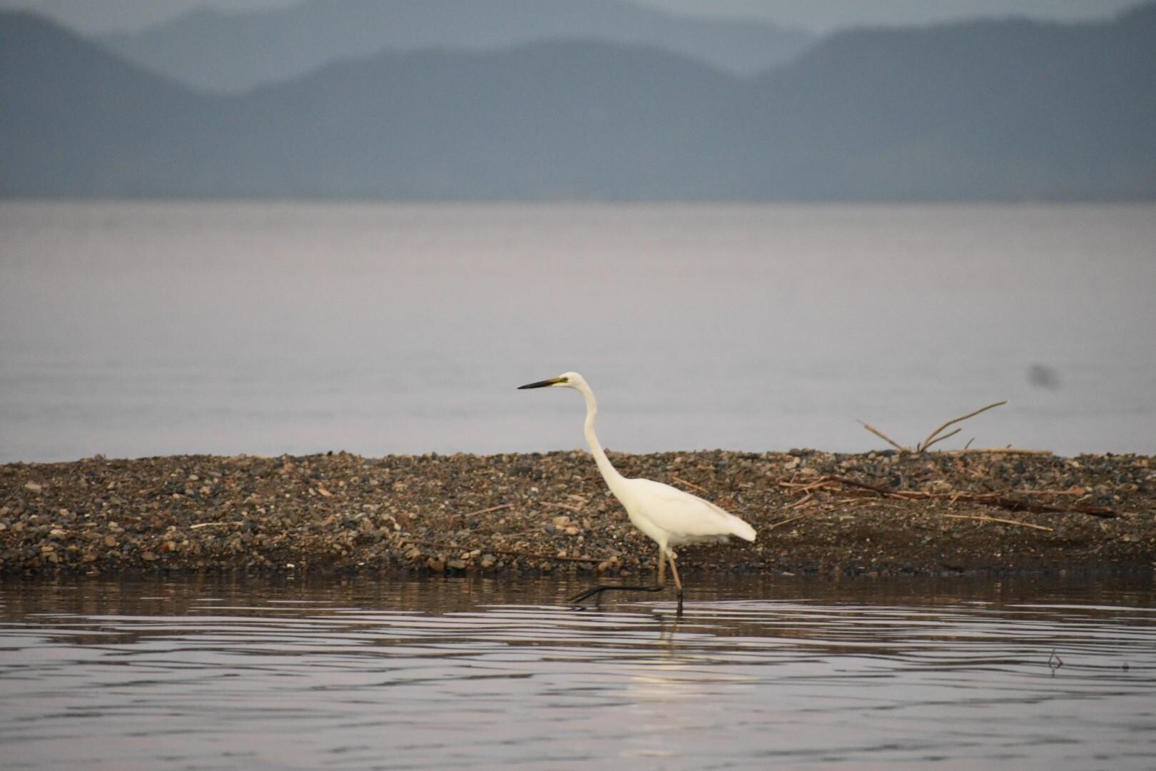 【つぶやき】 秋も本番、神無月です。 ... / K.Soutaさんのモーメント | YAMAP / ヤマップ