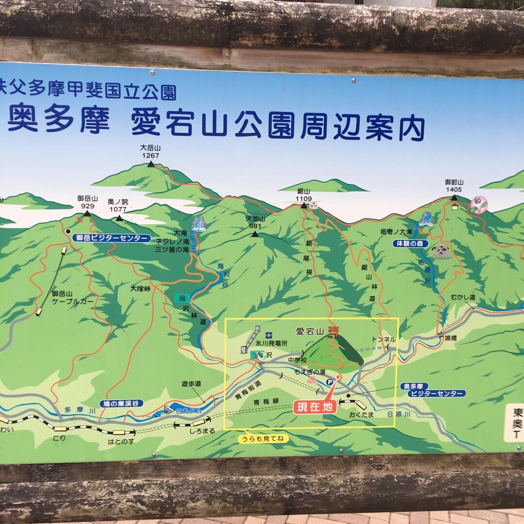 24.03 鋸山〜大岳山 / rok[toto]さんの大岳山・御岳山・御前山の活動データ | YAMAP / ヤマップ