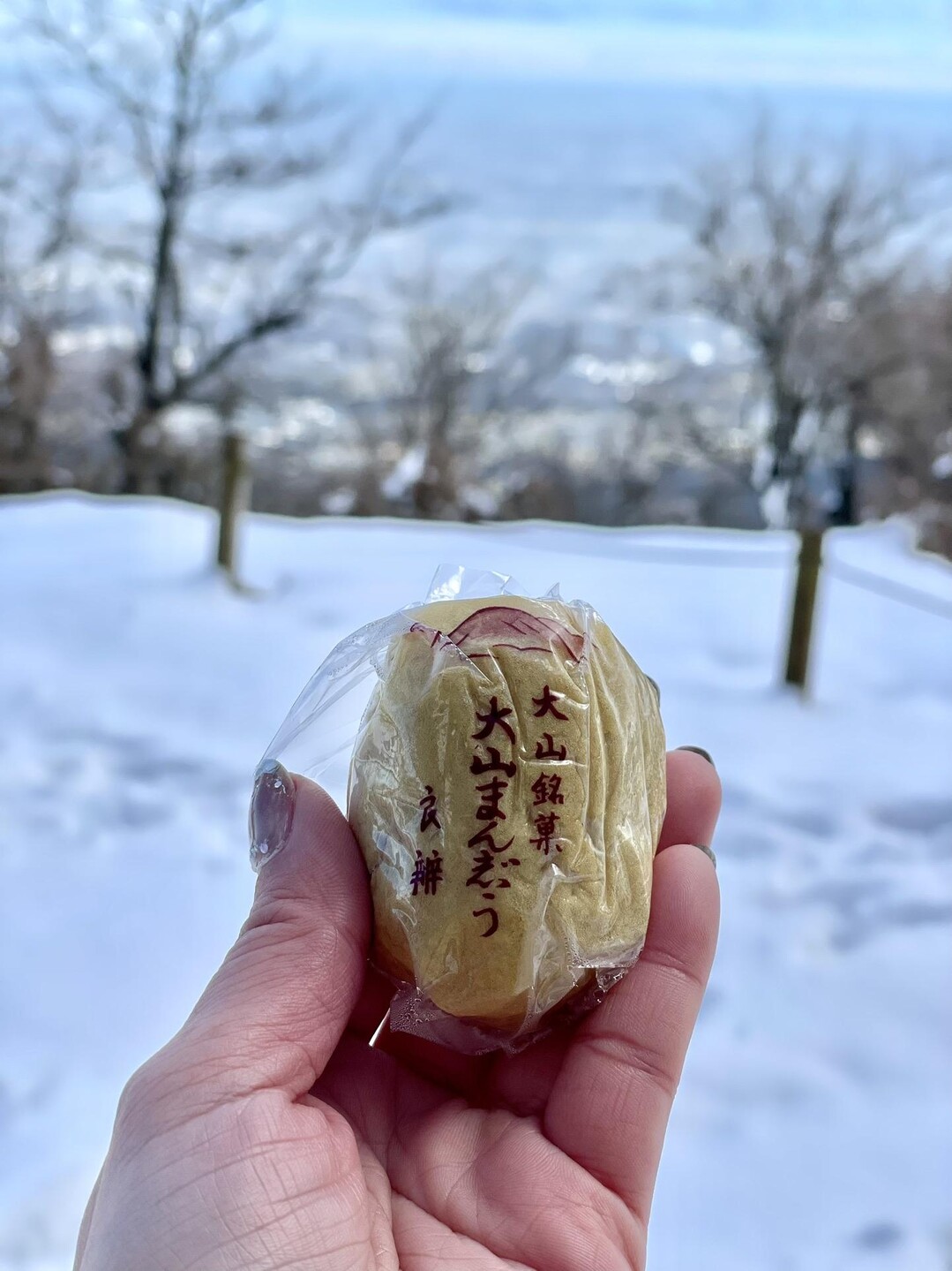 大山 / nikkoさんの大山の活動データ | YAMAP / ヤマップ