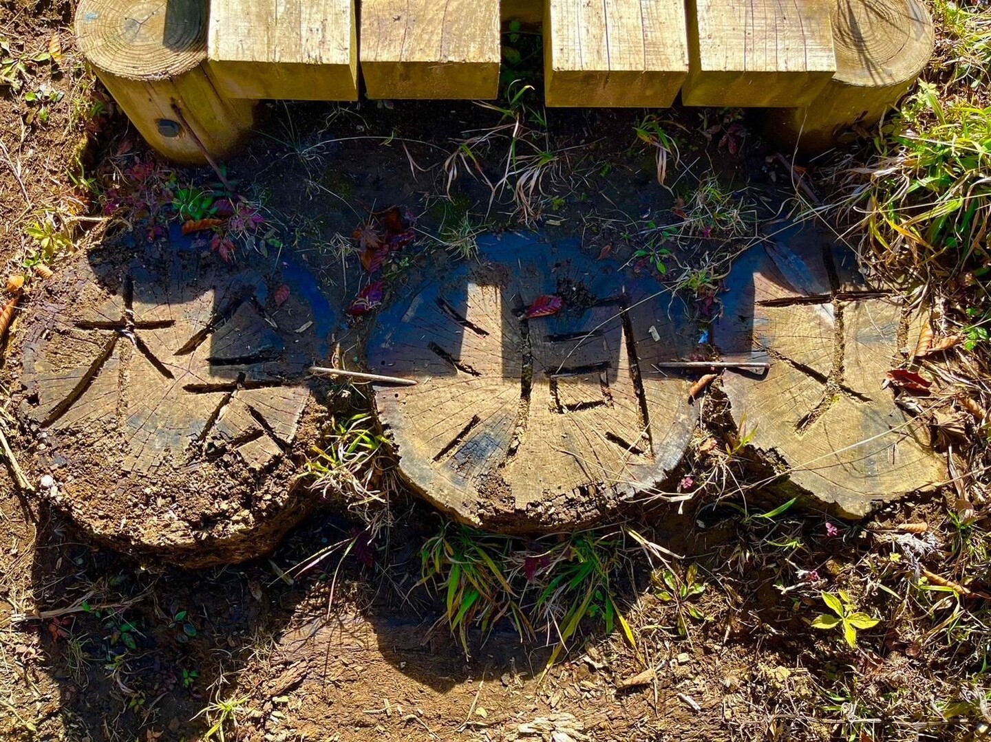 2023/11/1【檜洞丸】1601m / Matsuさんのモーメント | YAMAP / ヤマップ