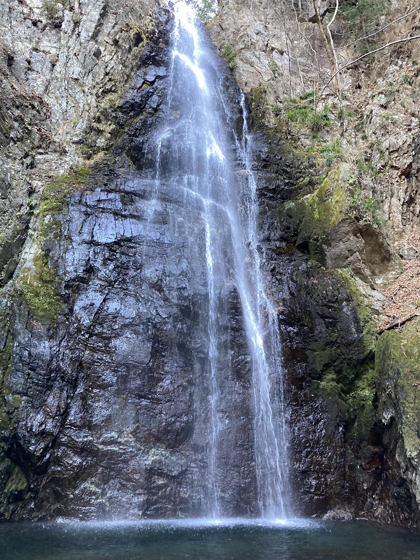 凍ってるかな？川苔山 / yamatubakiさんの川苔山（川乗山）の活動データ | YAMAP / ヤマップ