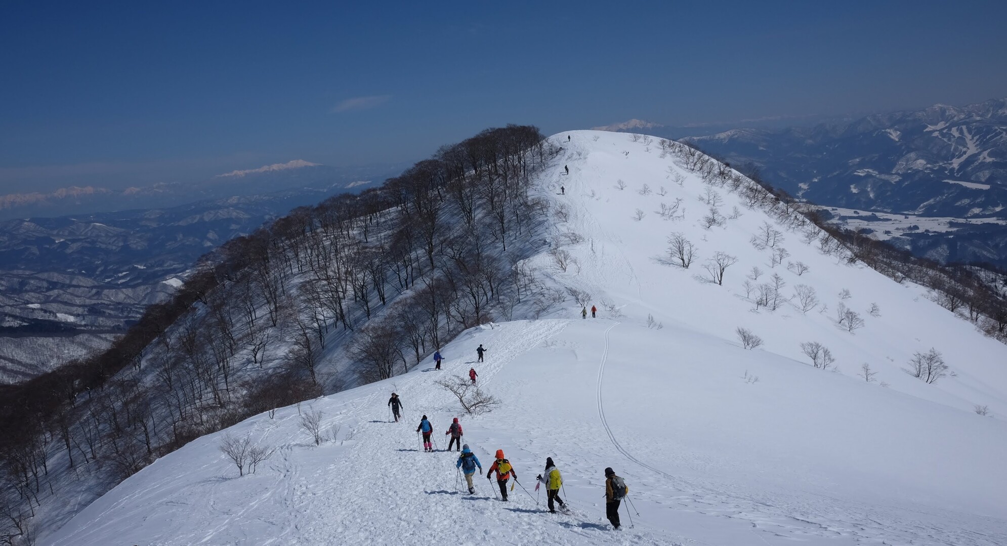 快晴の大日ヶ岳は最高でした / gamisanさんの大日ヶ岳・毘沙門岳の活動データ | YAMAP / ヤマップ