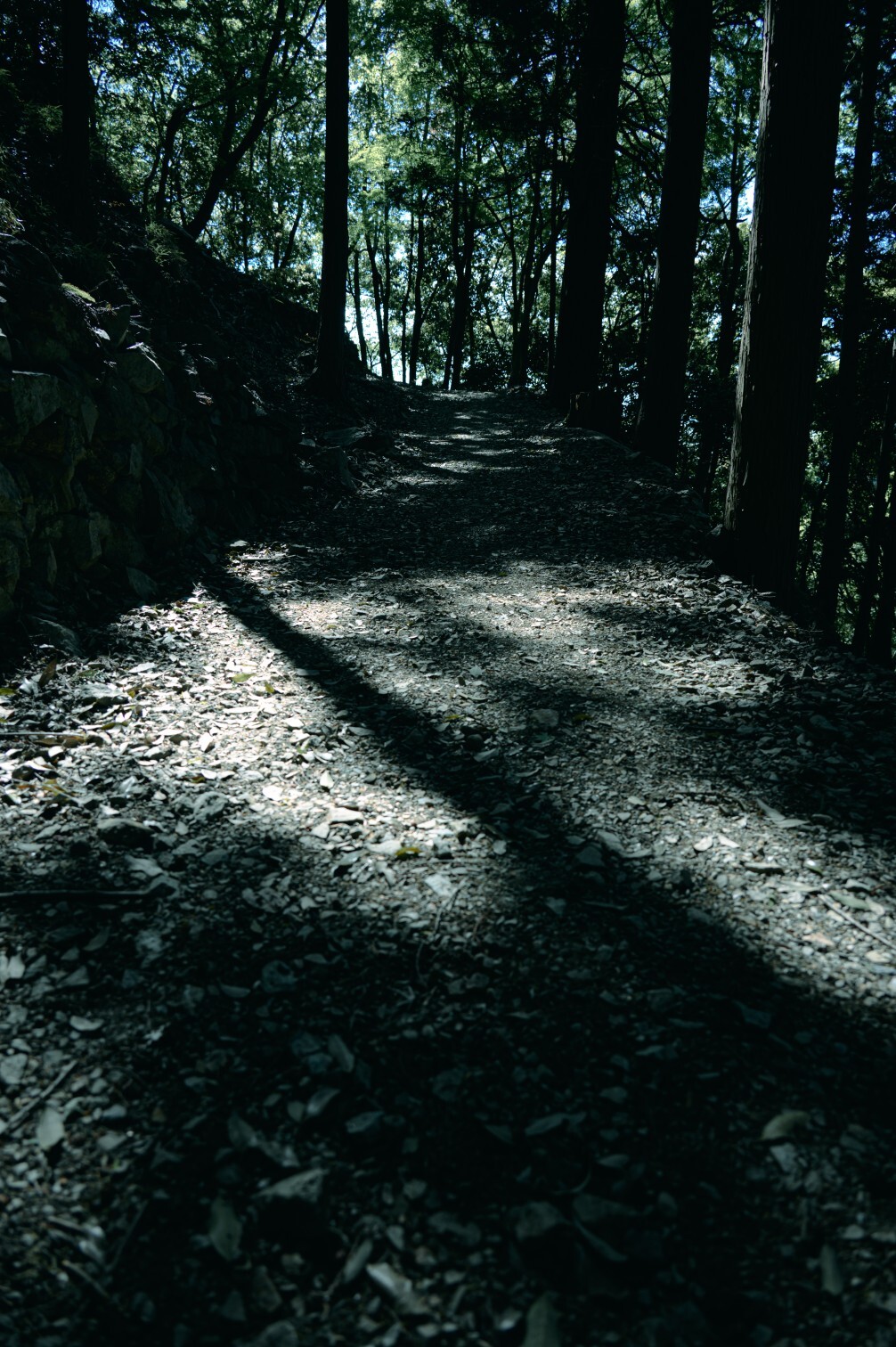 自分にしか撮れない登山作品を作っていく... / vlog_tottiyさんのモーメント | YAMAP / ヤマップ