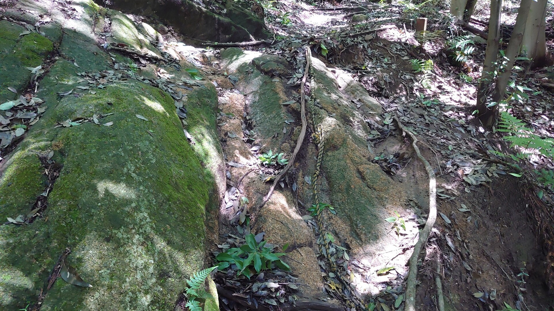 TKYMさんの投稿したフィールドメモ | YAMAP / ヤマップ