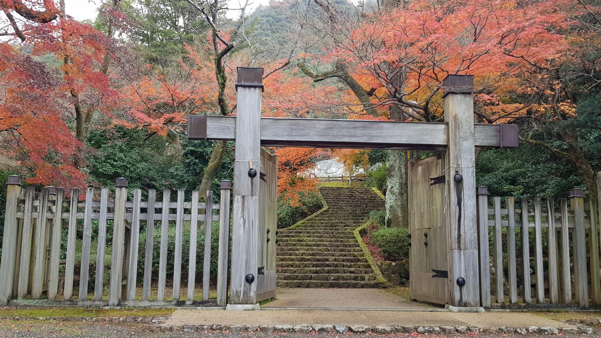 金華山（2回目の捜索願いされて😅）-2022-12-17 / 山ガールちひろさんの金華山・洞山・舟伏山の活動日記 | YAMAP / ヤマップ