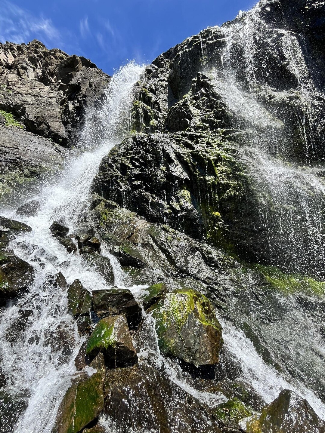 礼文島林道-礼文滝-桃岩−知床 2024-6-14 / ayaさんの礼文島の活動データ | YAMAP / ヤマップ