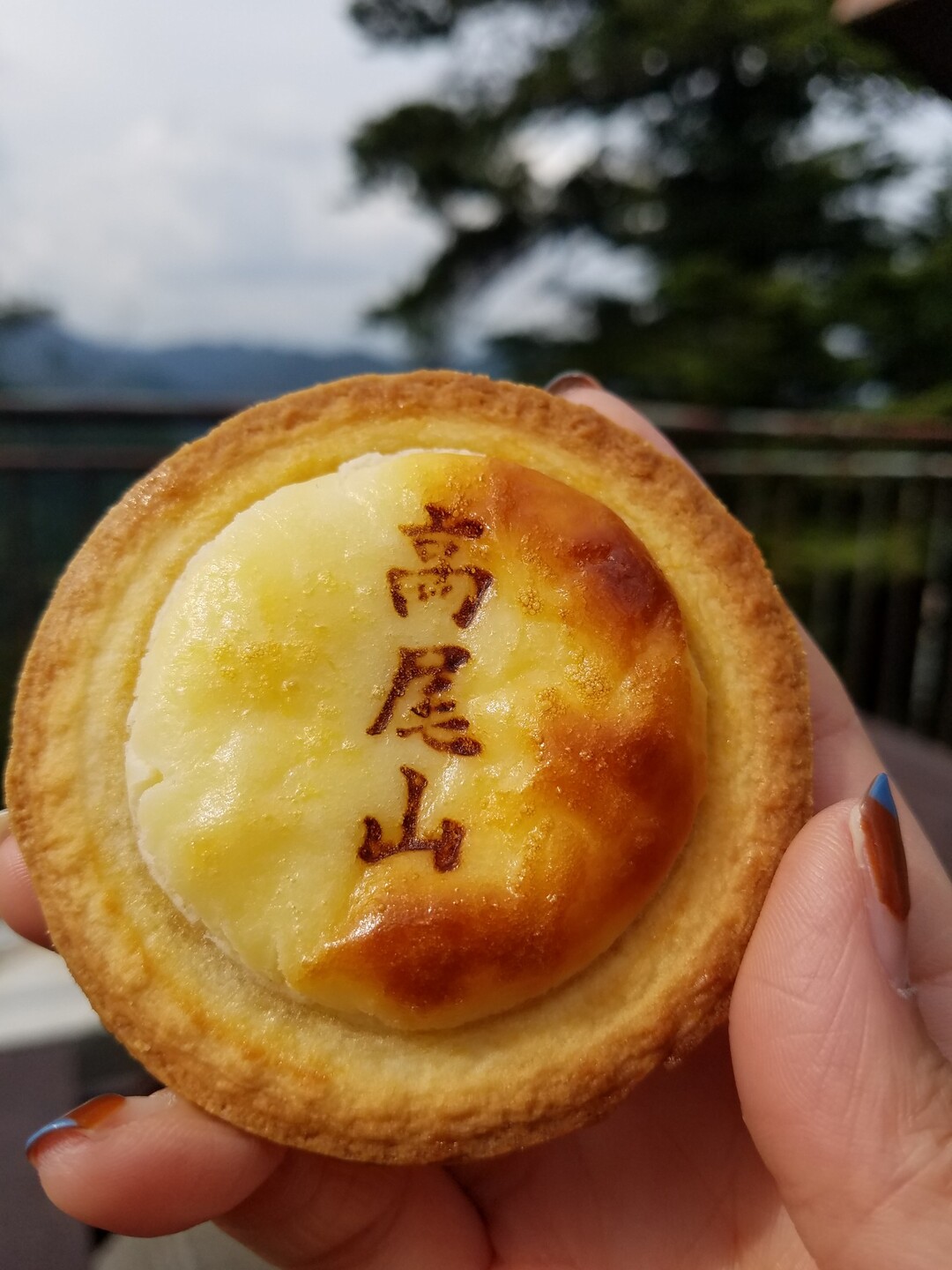 高尾山 / samiさんの高尾山・陣馬山・景信山の活動データ | YAMAP / ヤマップ