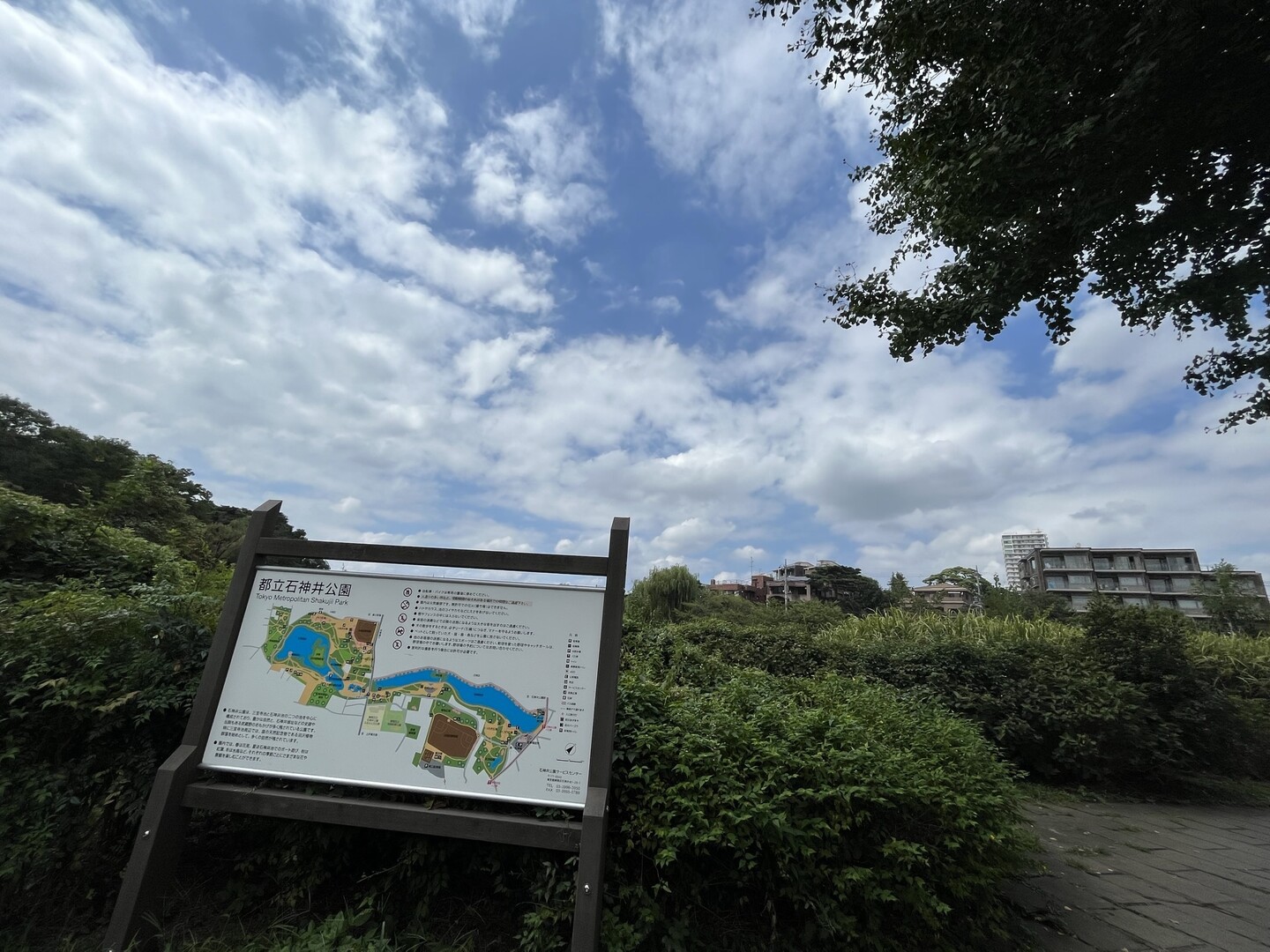 家から石神井川沿いを上流に向かって、石神... / Telemacさんのモーメント | YAMAP / ヤマップ