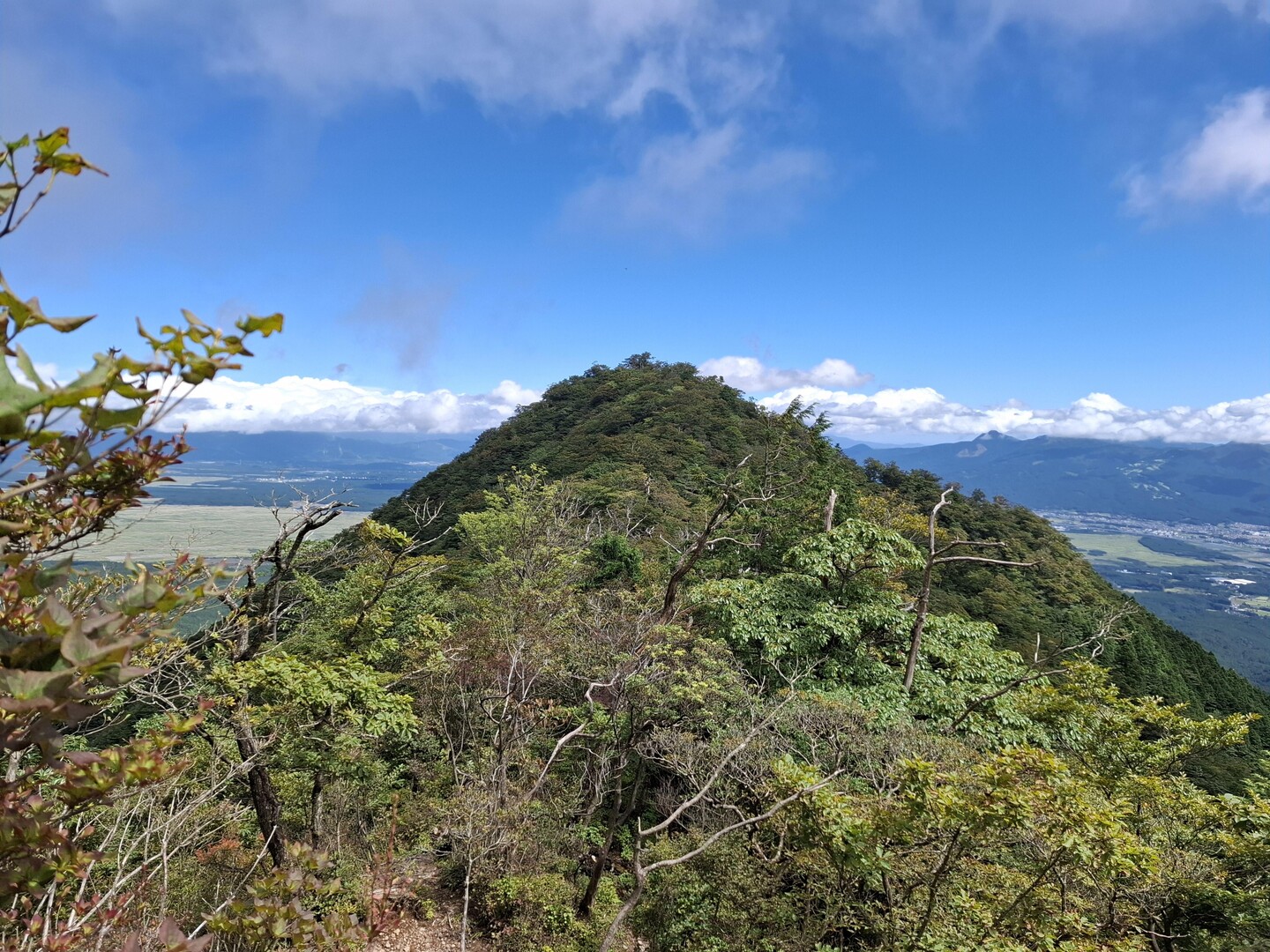 前岳・位牌岳 / kojiくんさんの愛鷹山・大岳・黒岳の活動データ | YAMAP / ヤマップ