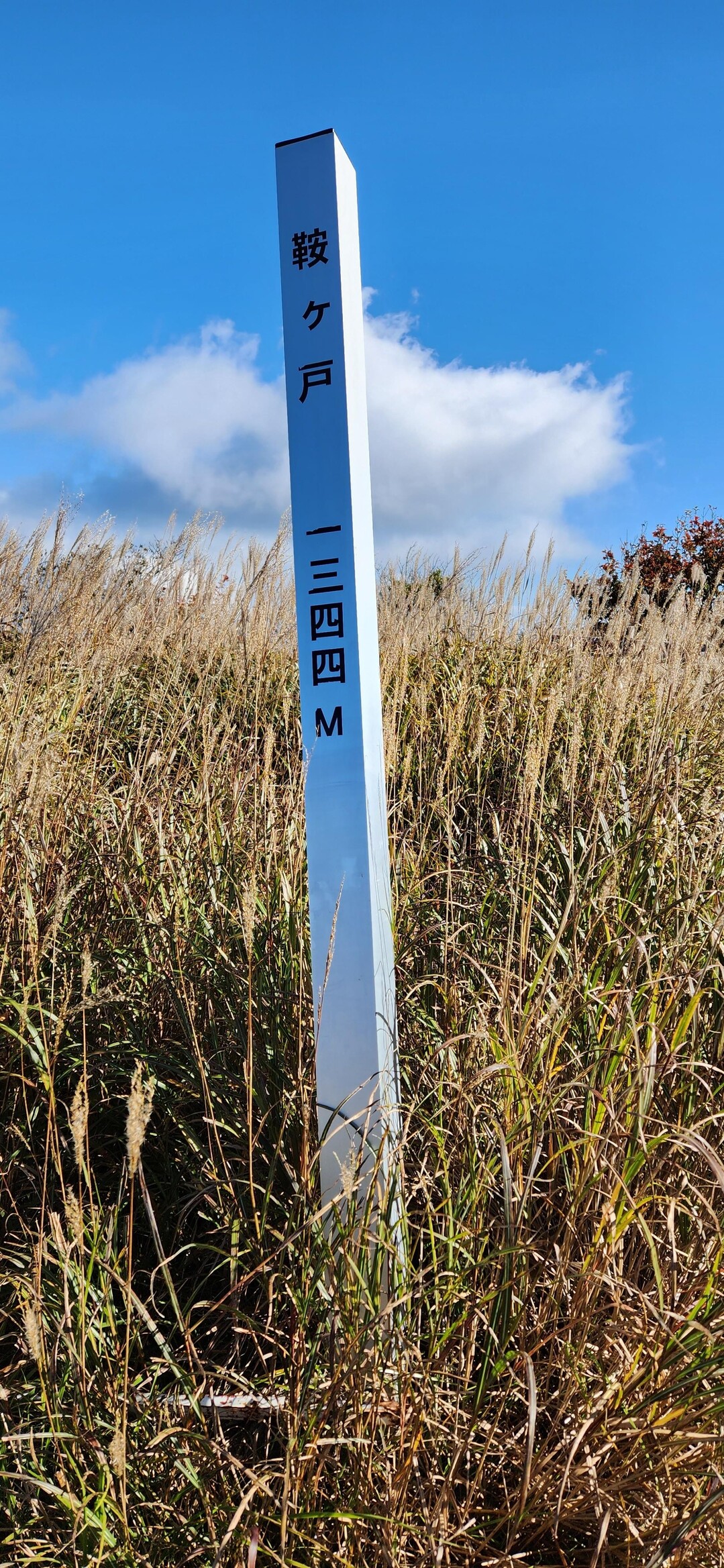 鞍ヶ戸Ⅰ峰・鞍ヶ戸Ⅱ峰・鞍ガ戸・南平台 / 小じわたる美さんの由布岳・鶴見岳の活動データ | YAMAP / ヤマップ