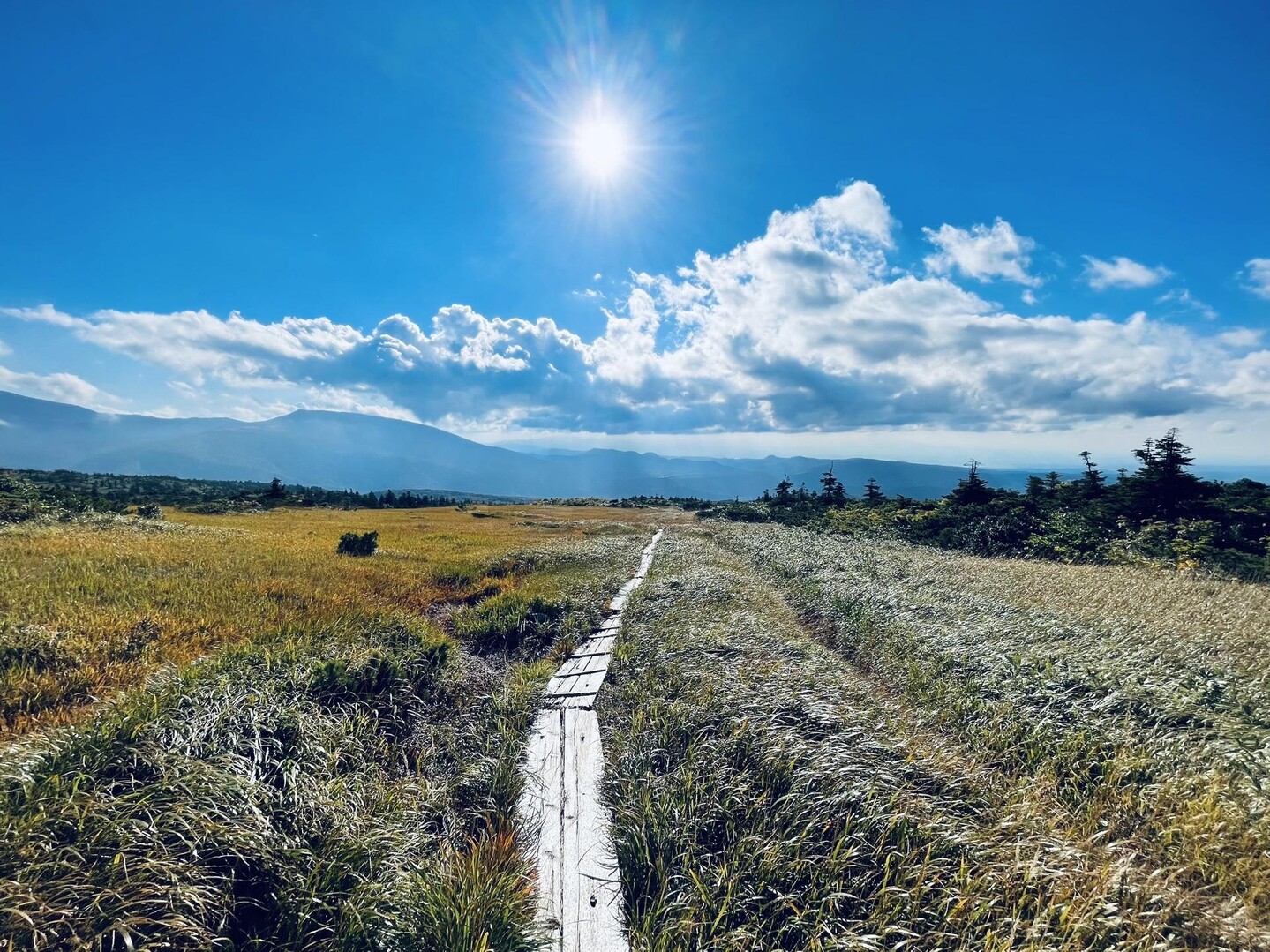 八甲田山（大岳） / pandaさんの八甲田山・高田大岳・雛岳の活動データ | YAMAP / ヤマップ
