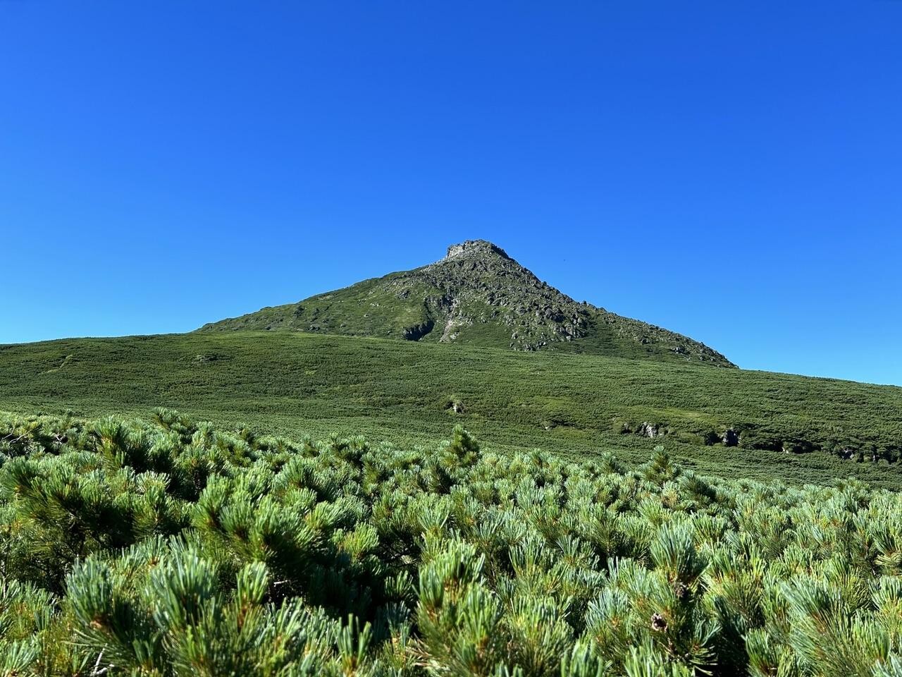 Yuのページ | YAMAP / ヤマップ