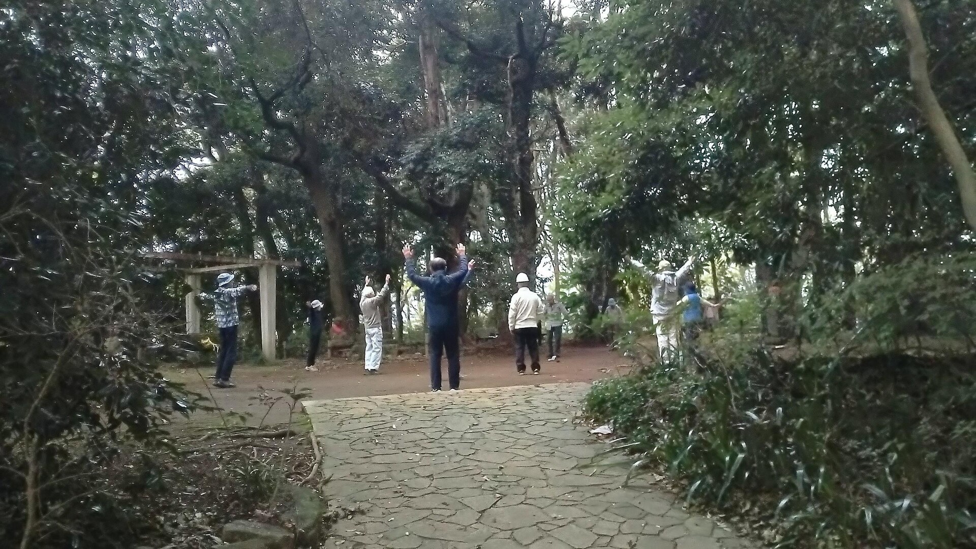片倉城跡公園(つつじ山)〜ラジオ体操の大塚山 / kumaさんの七国山の活動データ | YAMAP / ヤマップ