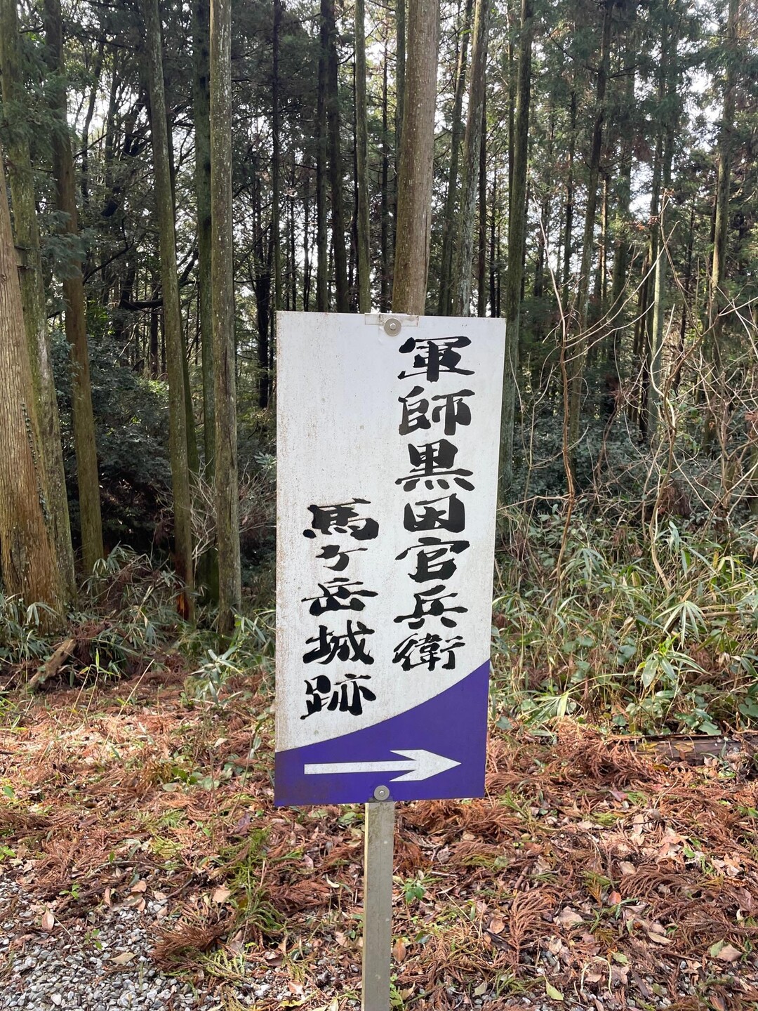 🐴ヶ岳 Roy君 散歩 🐕‍🦺🚶‍♂️ / 馬ヶ岳の写真30枚目 | YAMAP / ヤマップ