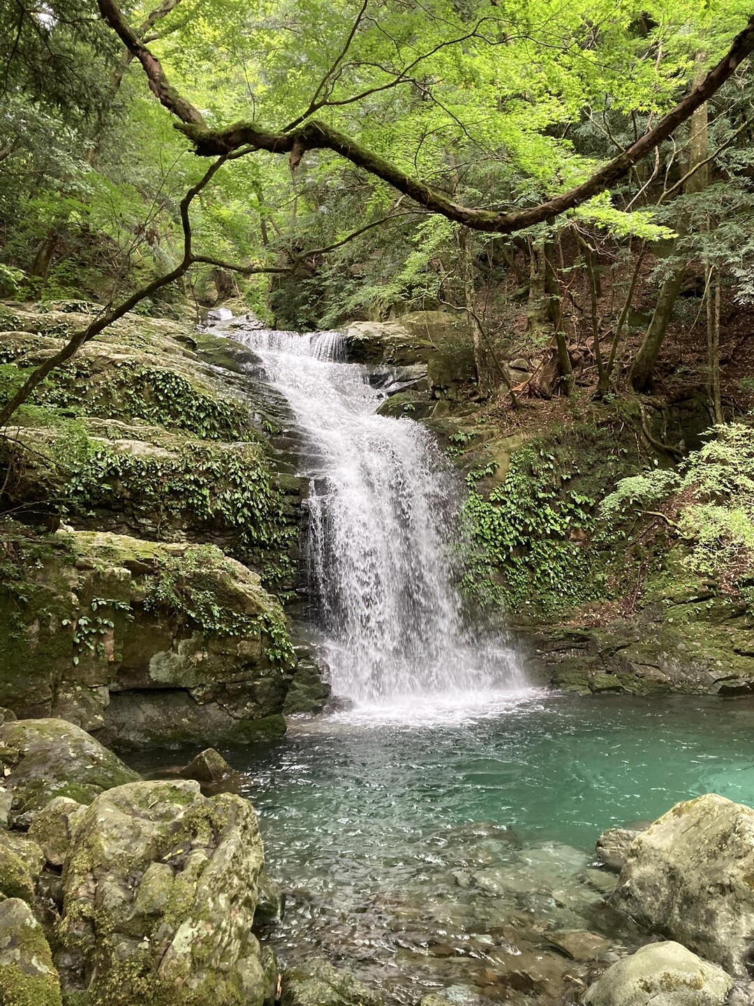 祖母山 / yusaku44さんの祖母山の活動データ | YAMAP / ヤマップ