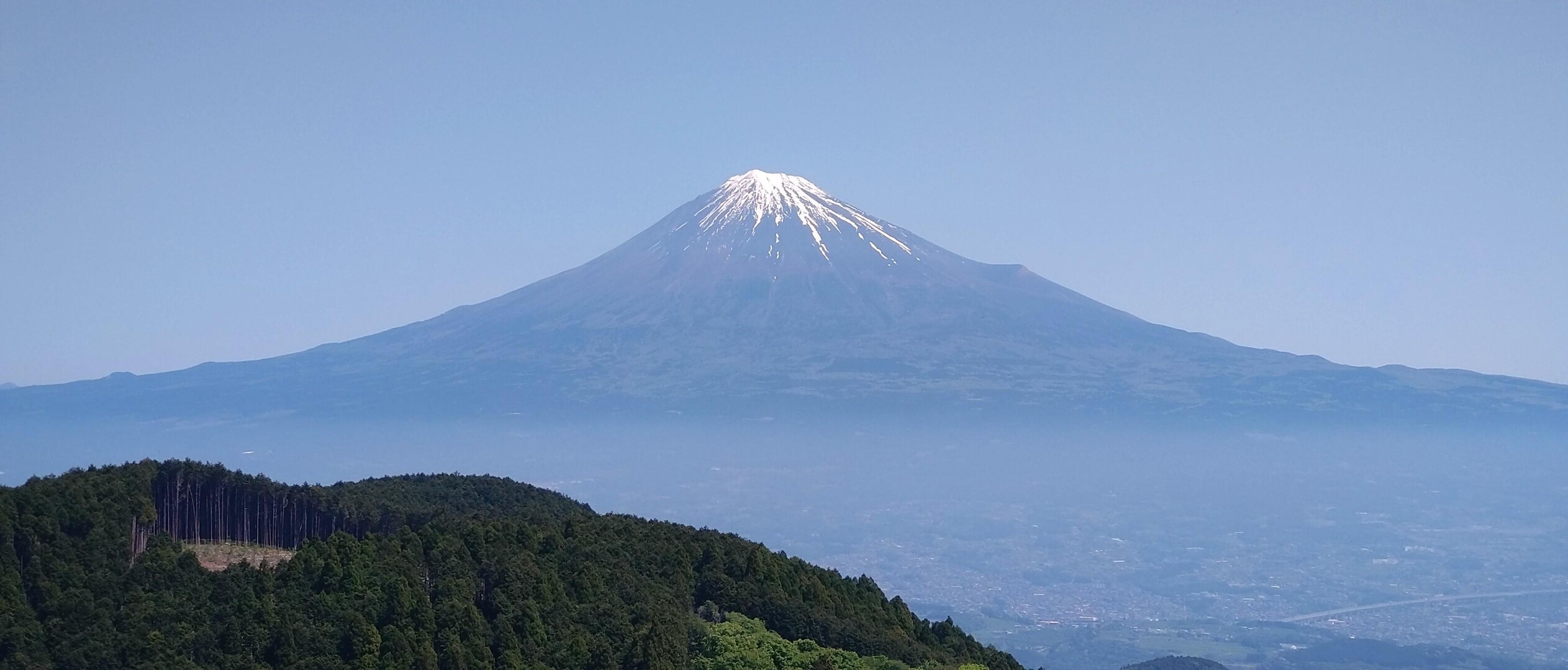 大丸山、金丸山🗻🤩🏆 / mt.8ninさんの金丸山・大丸山・雨乞山の活動データ | YAMAP / ヤマップ