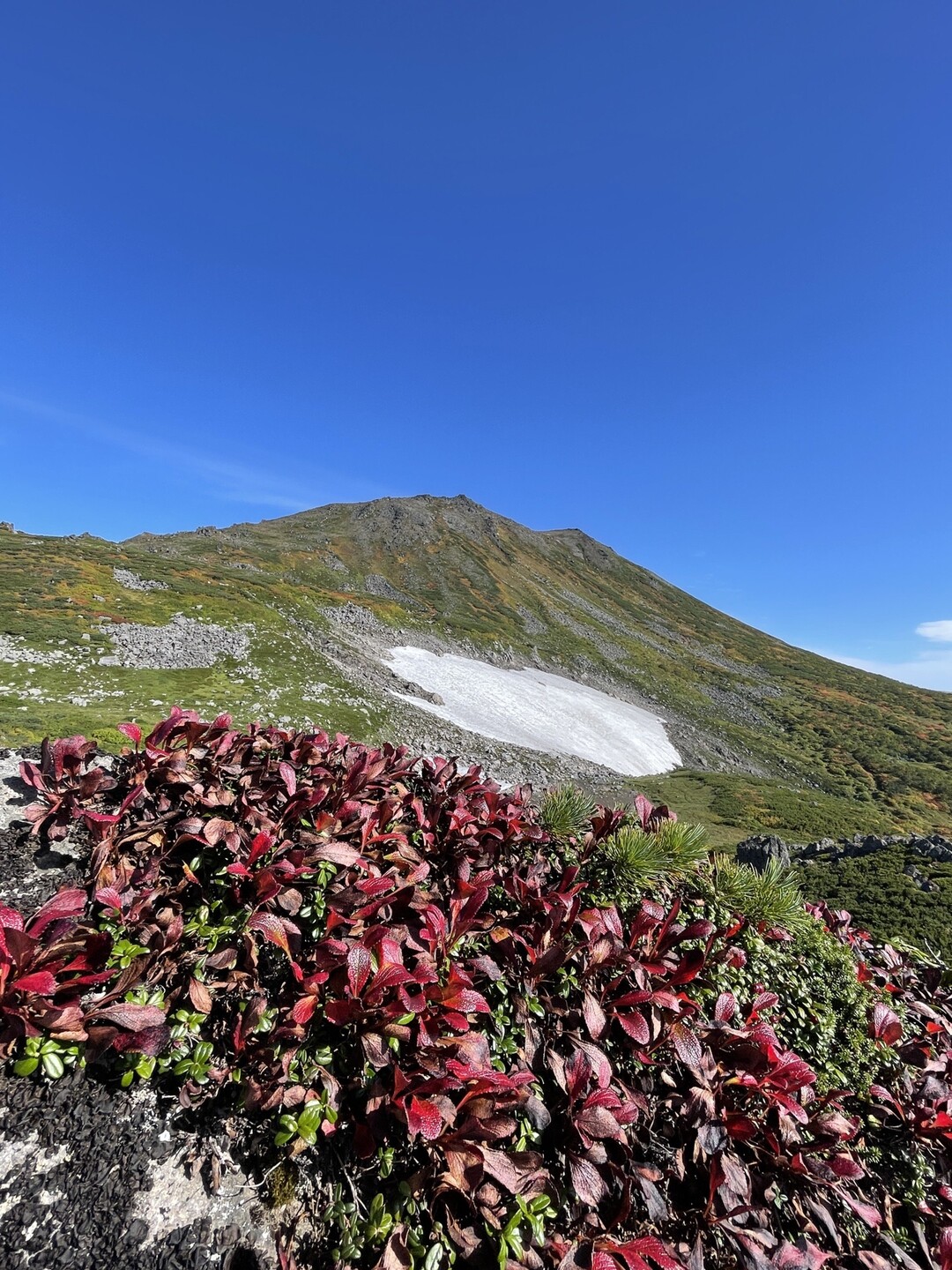 トムラウシ山 / なつさんのGT3 2の活動データ | YAMAP / ヤマップ