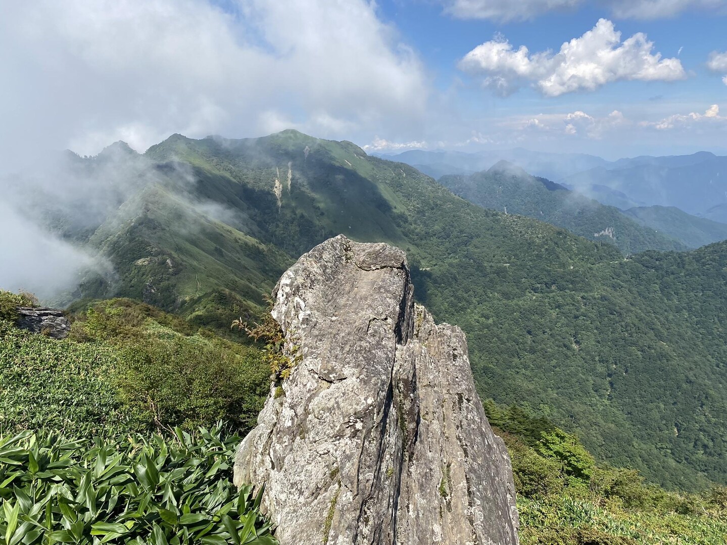 東黒森・伊予富士 / Ycoさんの瓶ヶ森・伊予富士の活動データ | YAMAP / ヤマップ