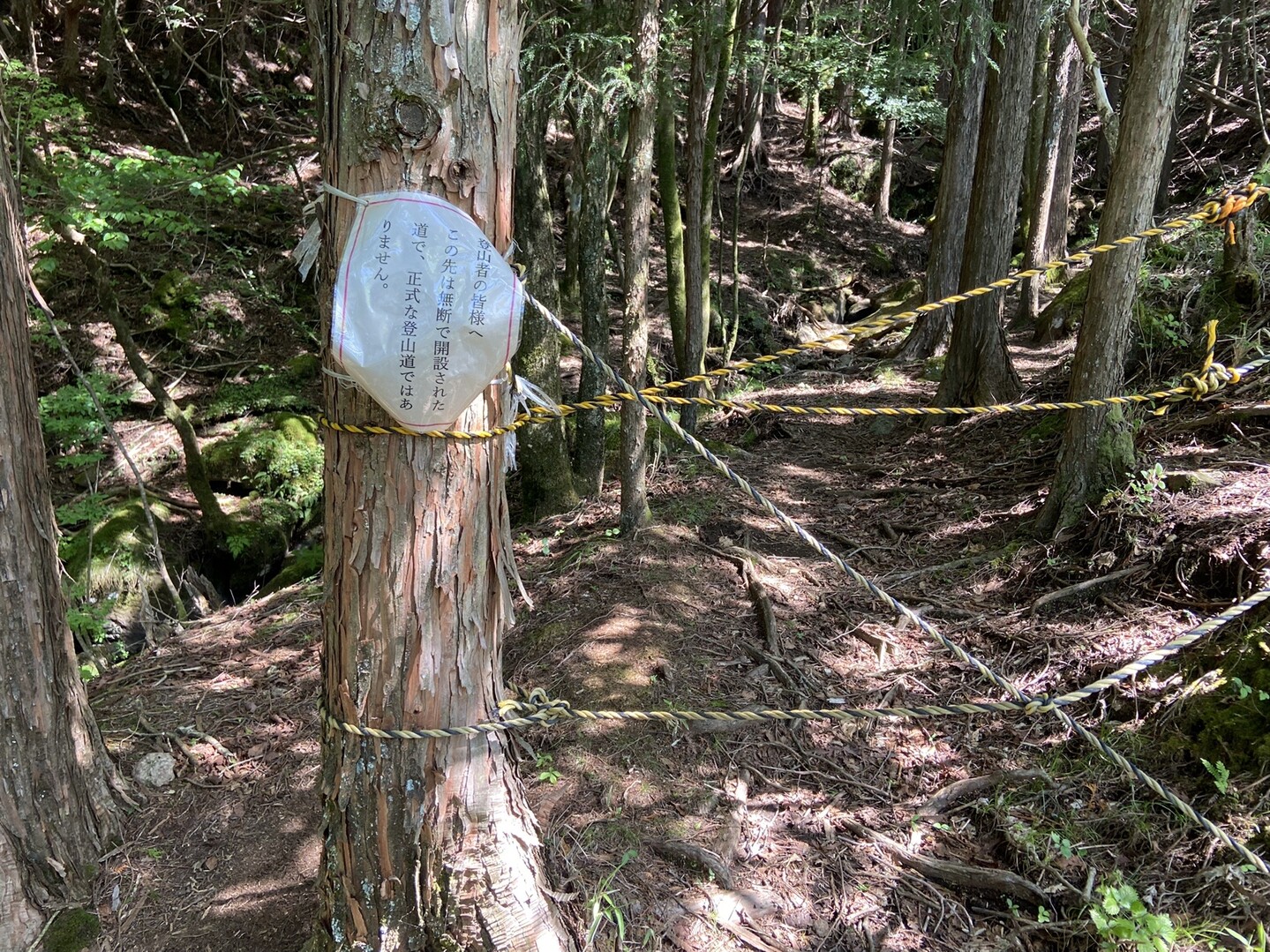 インディ510さんの投稿したフィールドメモ | YAMAP / ヤマップ