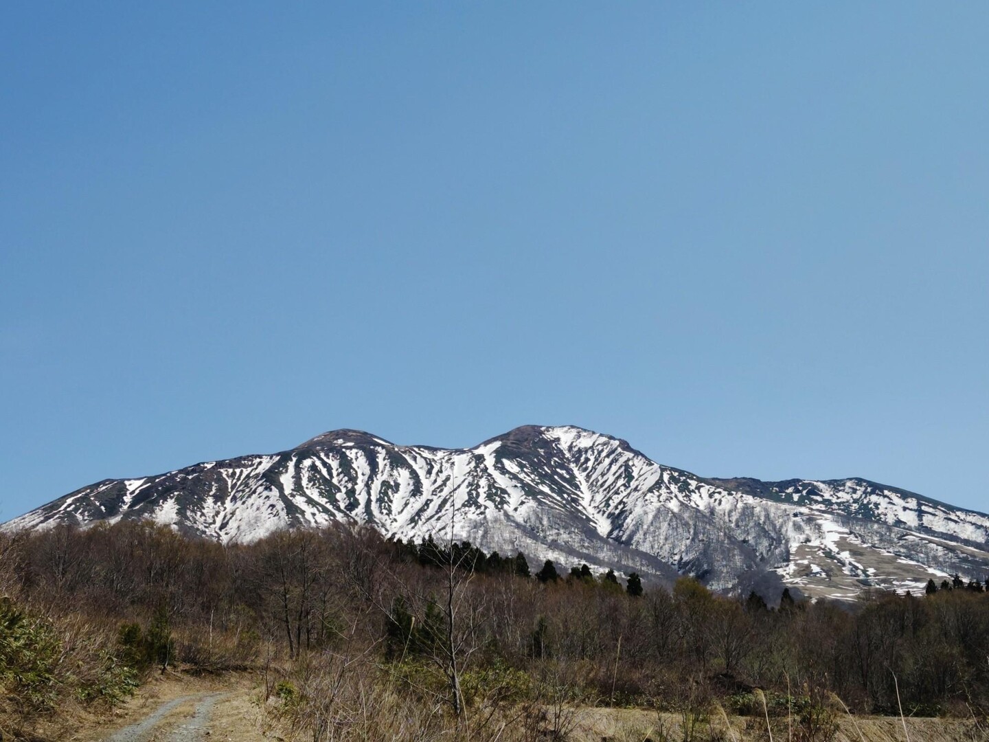アルパこまくさ〜秋田駒ヶ岳 2024.4.21 / masa.OH!さんの秋田駒ヶ岳・男女岳・貝吹岳の活動データ | YAMAP / ヤマップ