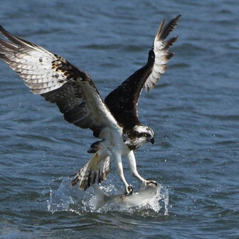 Otakeのページ | YAMAP / ヤマップ