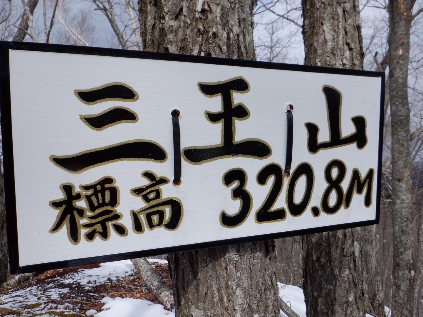 三王山 / sapさんの平取町の活動データ | YAMAP / ヤマップ