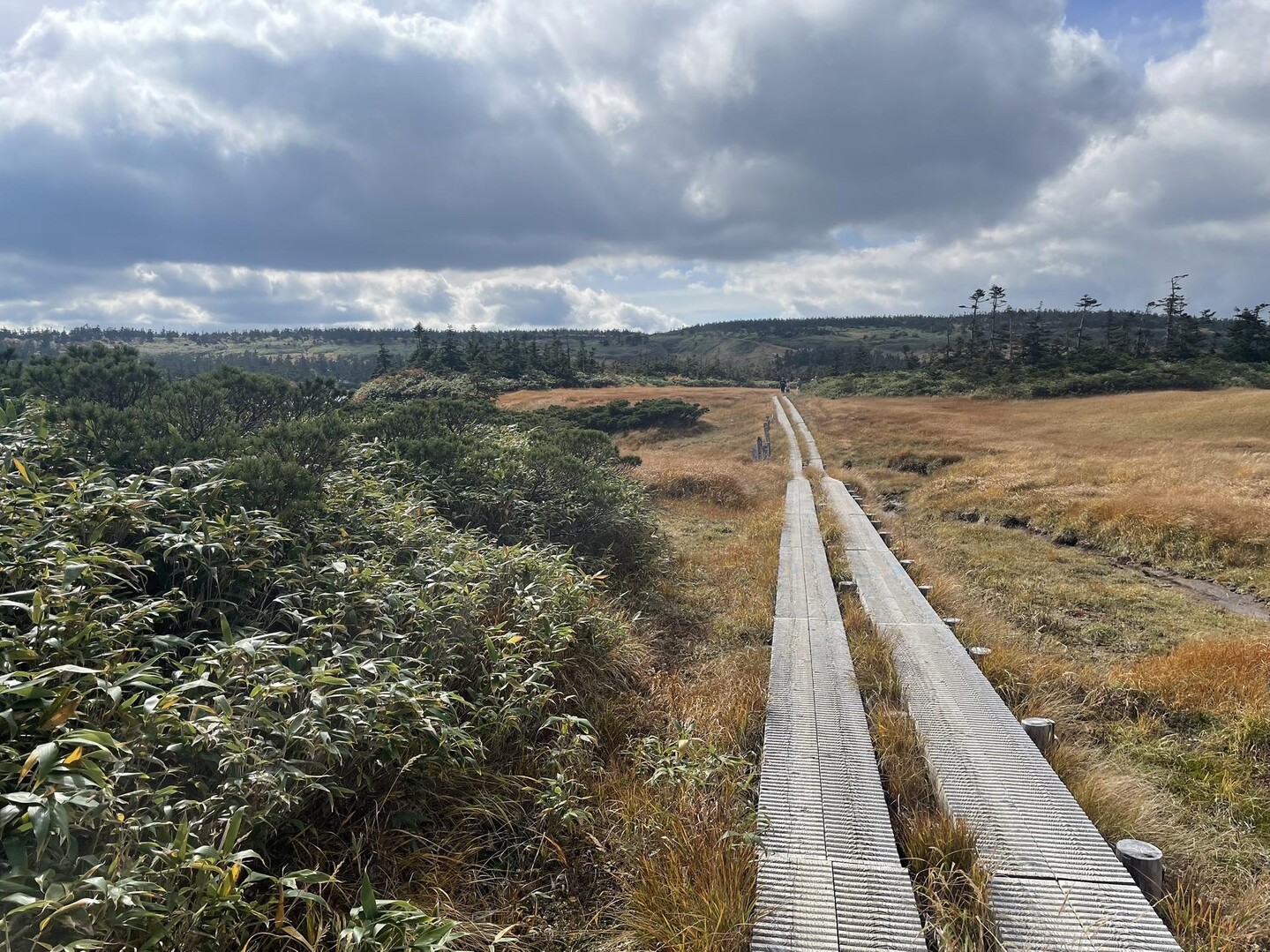 八幡平 散策 / nagaさんの八幡平・源太森・安比岳の活動データ | YAMAP / ヤマップ