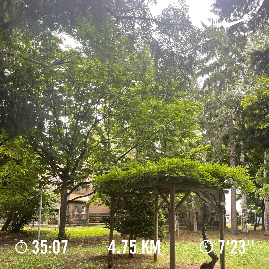 今日の朝ラン🏃‍♀️ 昨日の夜からな... / MIYUKIさんのモーメント | YAMAP / ヤマップ