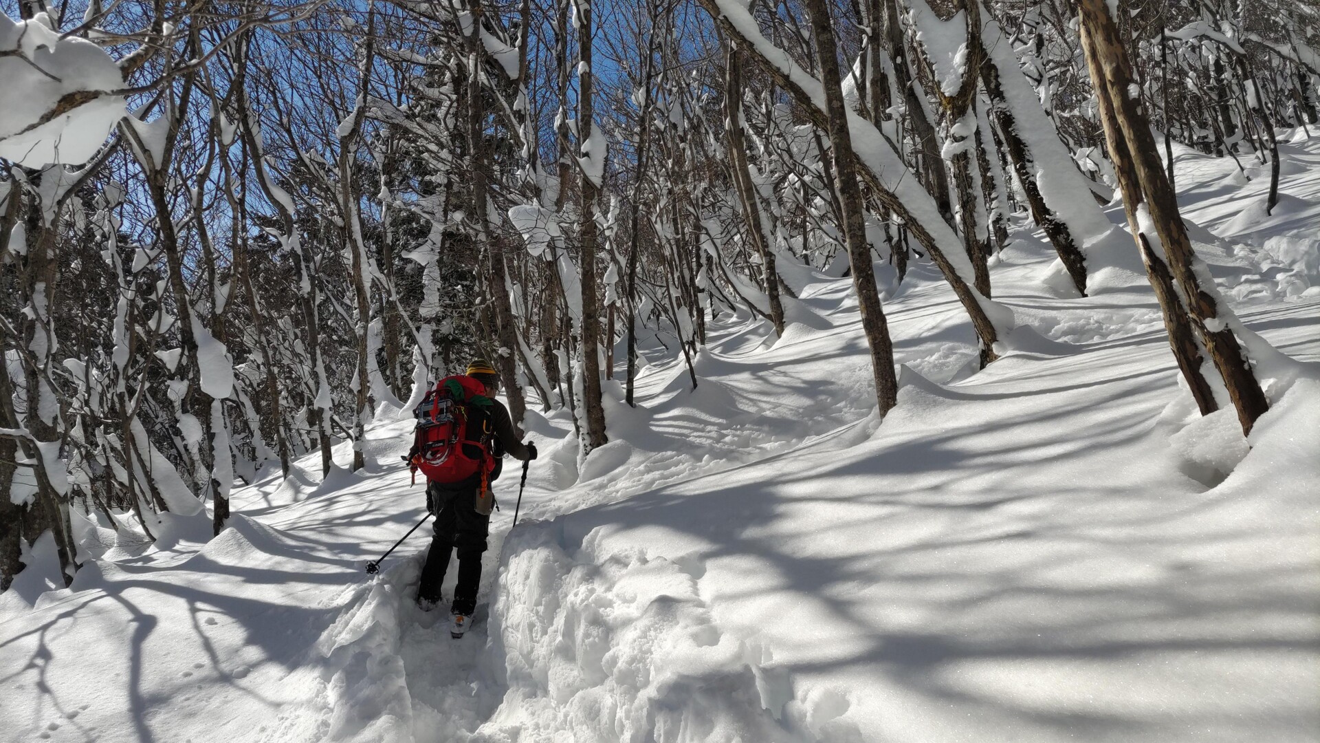 豪雪な御山に雪遊び行きましょ♪ 那岐山・滝山・広戸仙-2023-01-29 / m2.moonさんの那岐山・滝山・広戸仙の活動データ | YAMAP / ヤマップ
