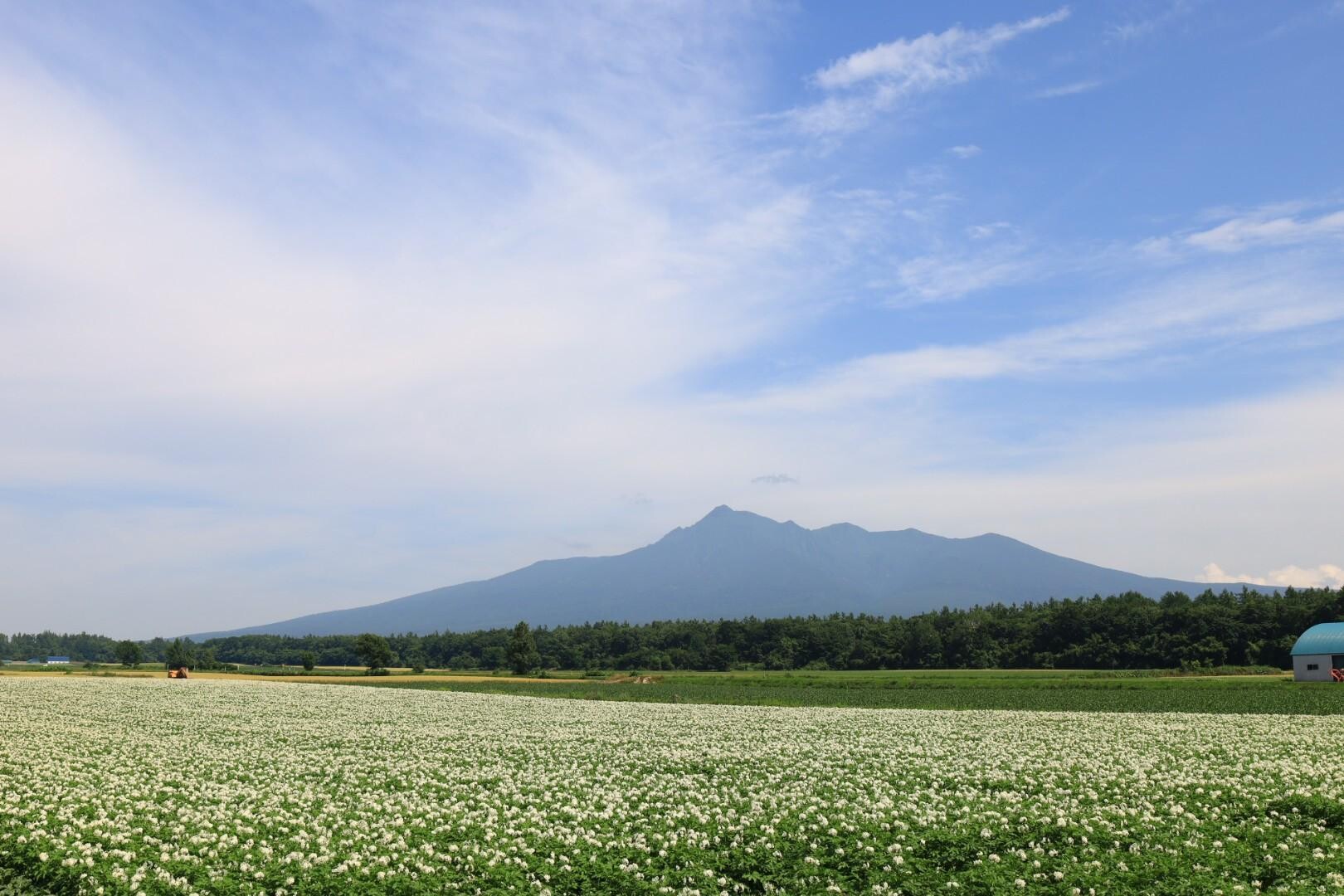 斜里岳 行きは旧道、帰りは新道 初めての普通コースは…😫 / かずたOKTさんの斜里岳の活動データ | YAMAP / ヤマップ
