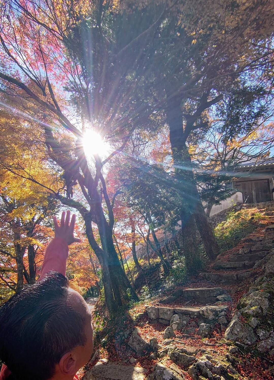 親孝行！？備中松山城へ行こう！🙄と言いつつ😂臥牛山へ！ー20241123 / よっしーさんの備中松山城の活動データ | YAMAP / ヤマップ