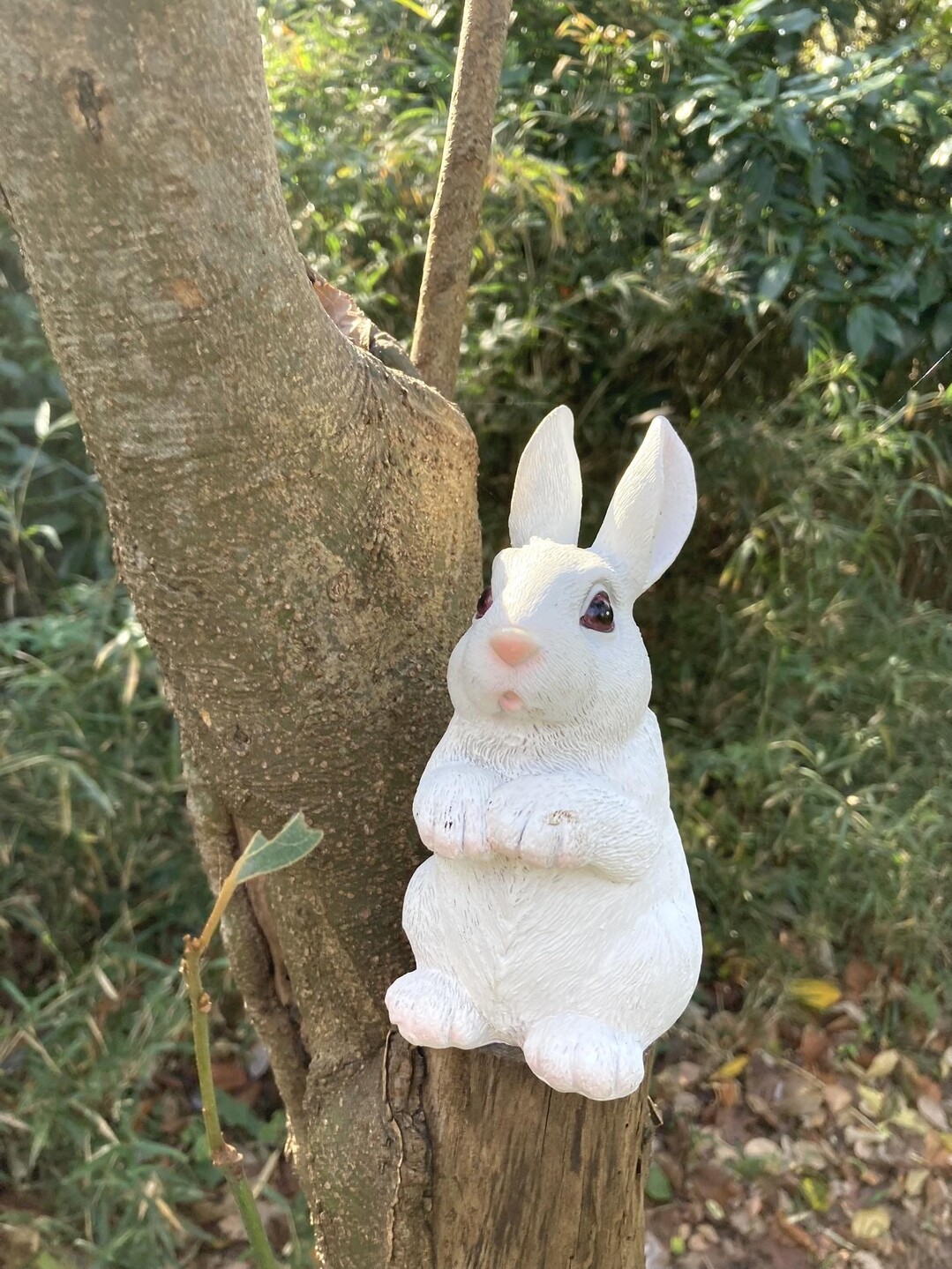 うさぎ山（鎌倉広町緑地） / miiさんの江の島の活動日記 | YAMAP / ヤマップ
