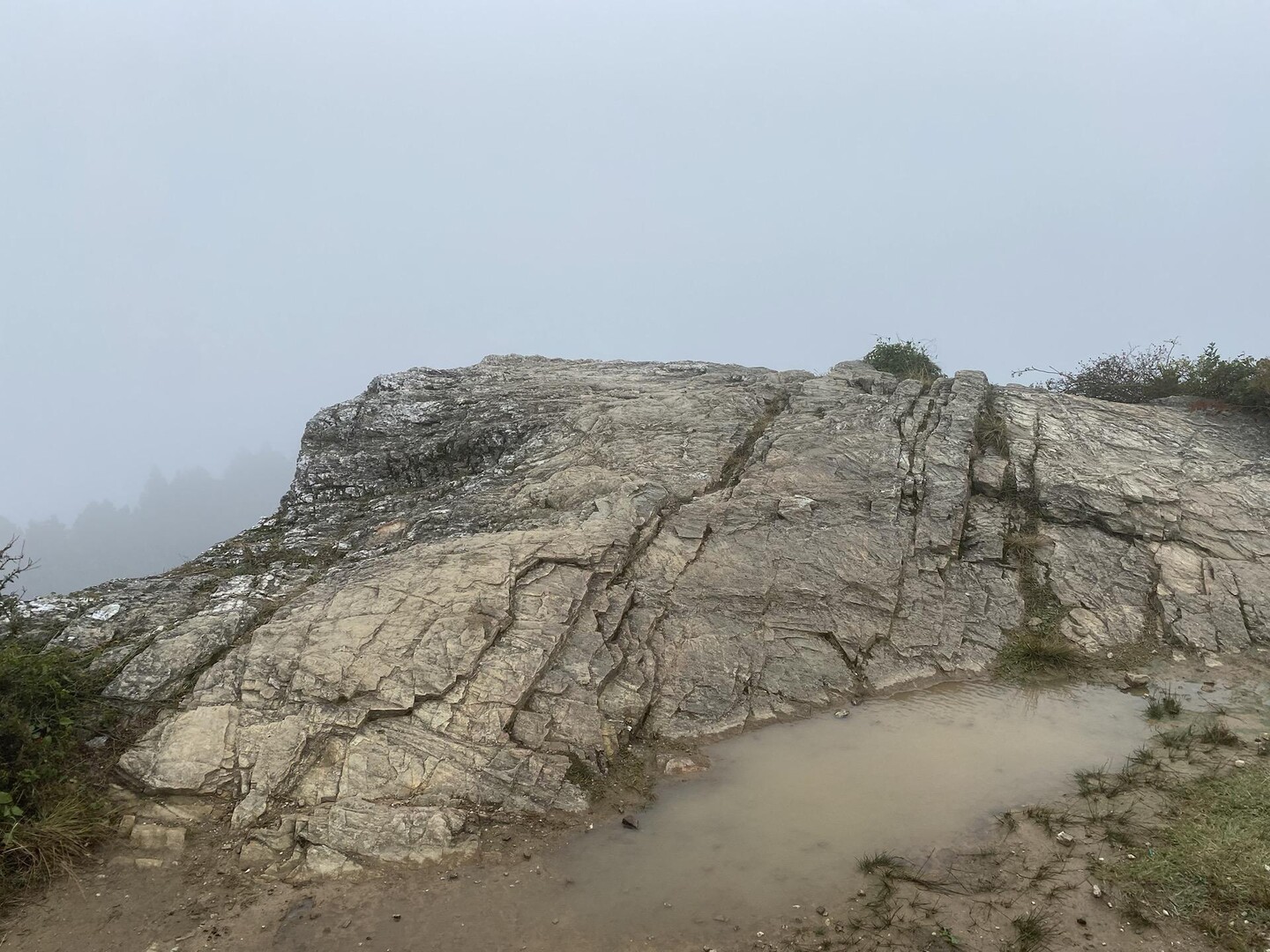 午前中、和歌山の生石高原へ。 しかし、映... / hidekixさんのモーメント | YAMAP / ヤマップ