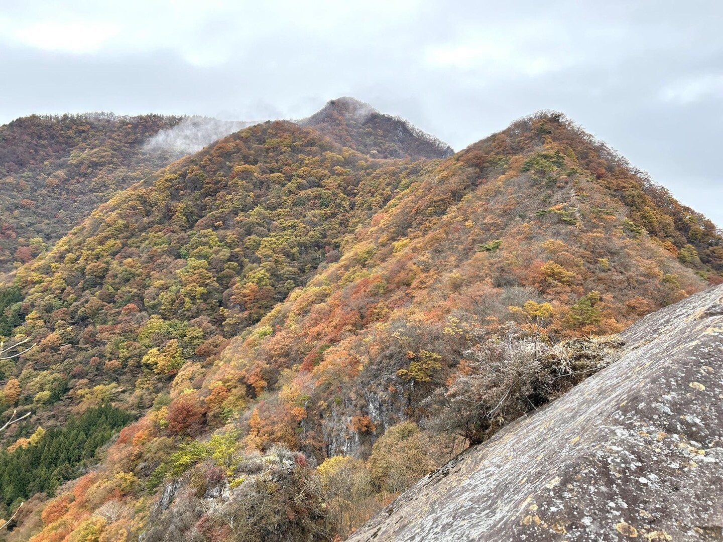 柳木ヶ峰・子持山 / papeさんの子持山の活動データ | YAMAP / ヤマップ
