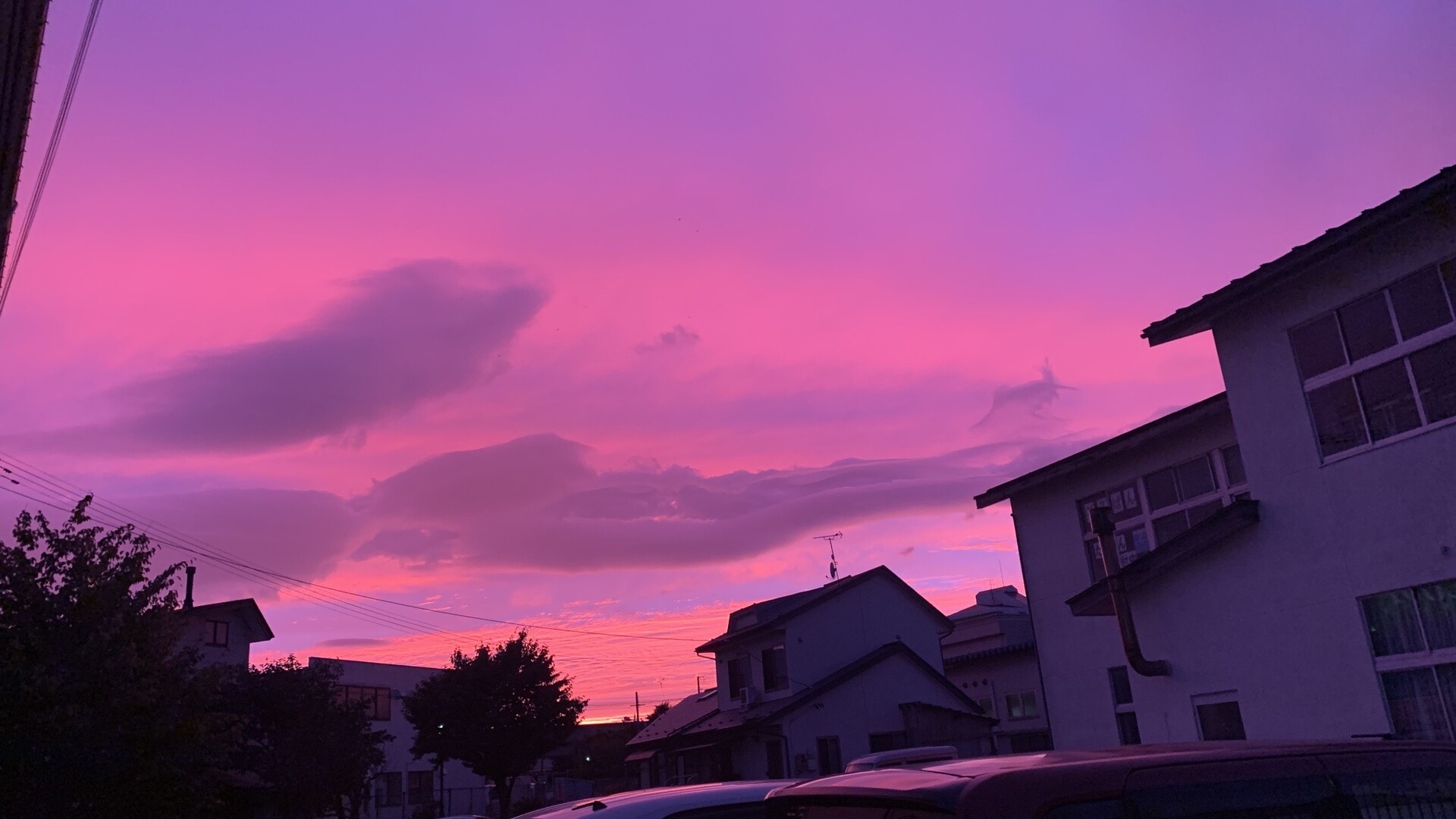 今日の夕空は紫交じりの色。 凄くキレイで... / neeleさんのモーメント | YAMAP / ヤマップ