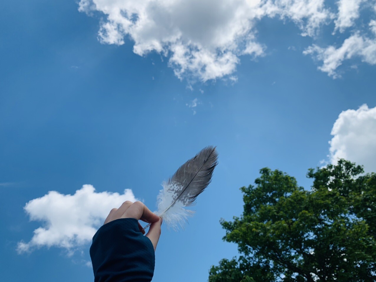 saccoのページ | YAMAP / ヤマップ