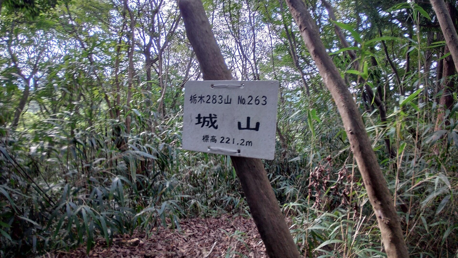 城山（西方城趾） / tkwさんの谷倉山の活動データ | YAMAP / ヤマップ